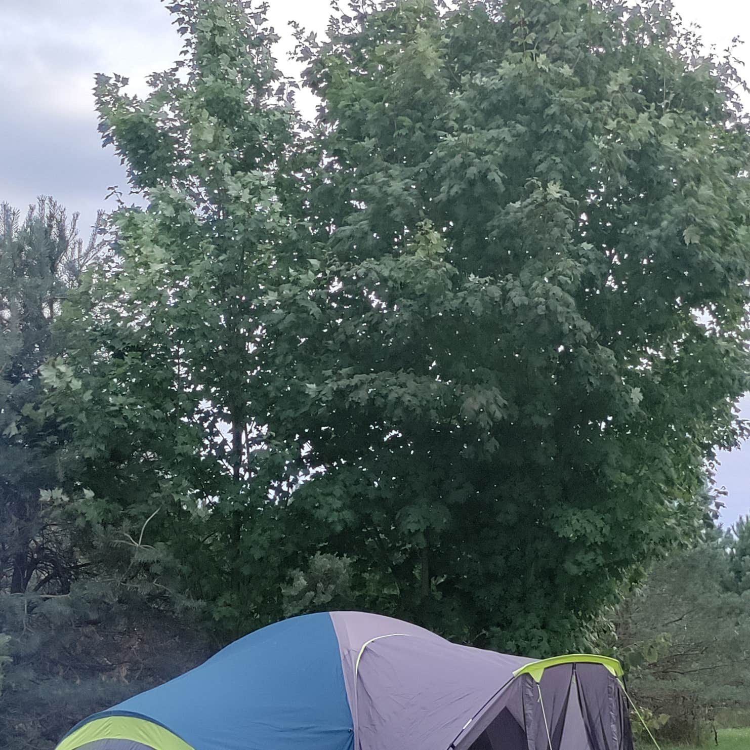 Starlight Campground and RV Park | Mancelona, Michigan