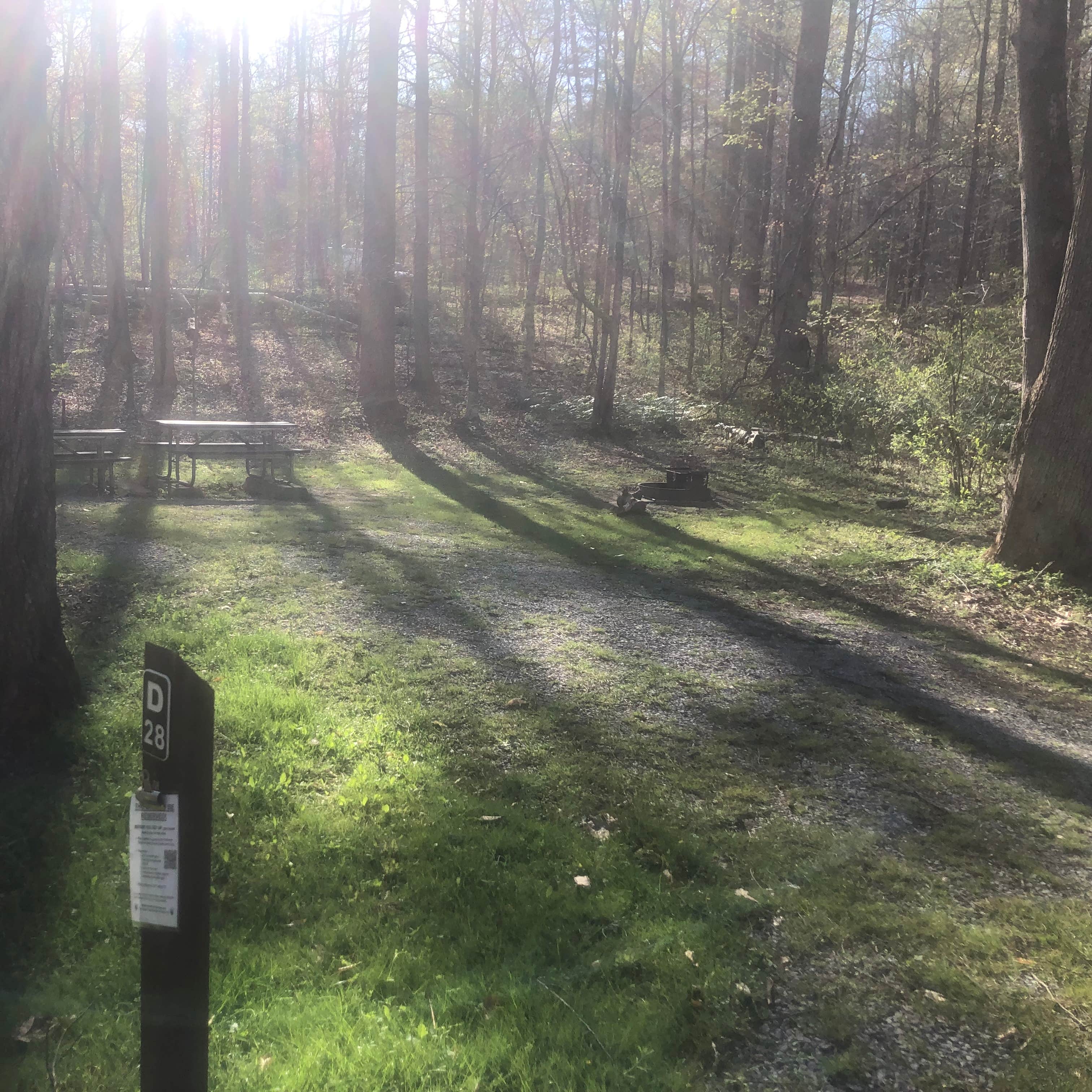 Wilderness Road State Park Campground | Ewing, VA