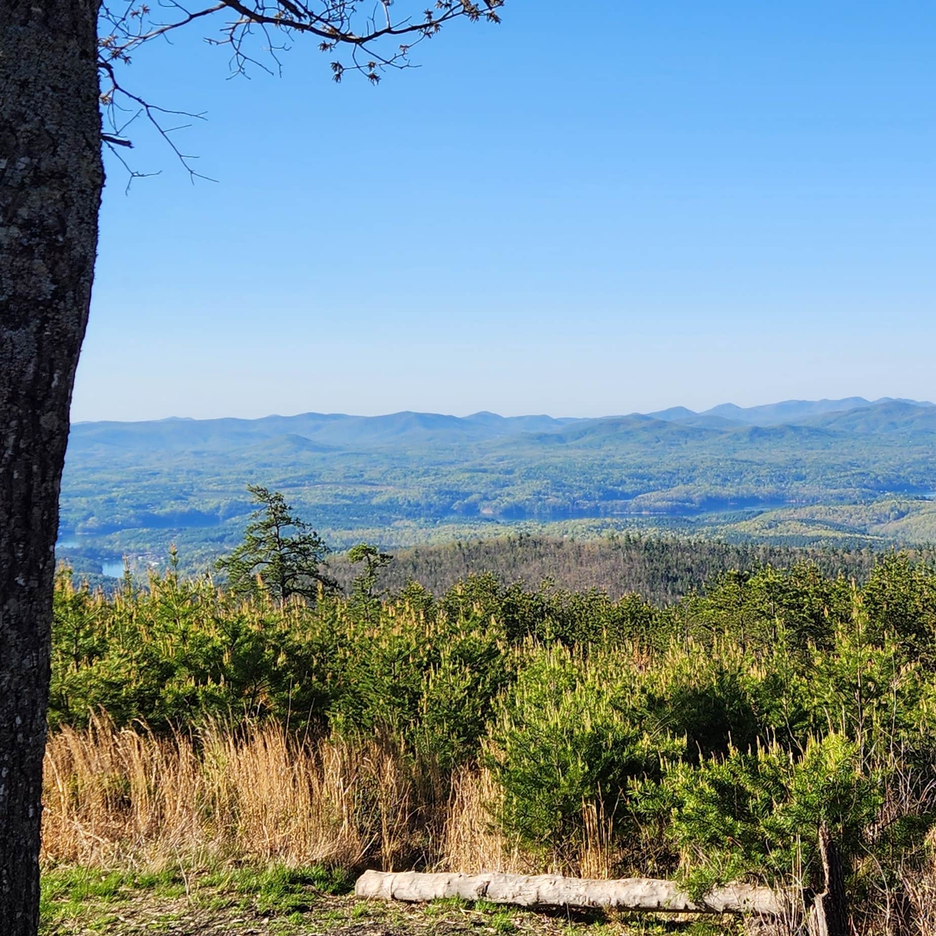 Old NC 105 Dispersed Camping | Linville Falls, NC
