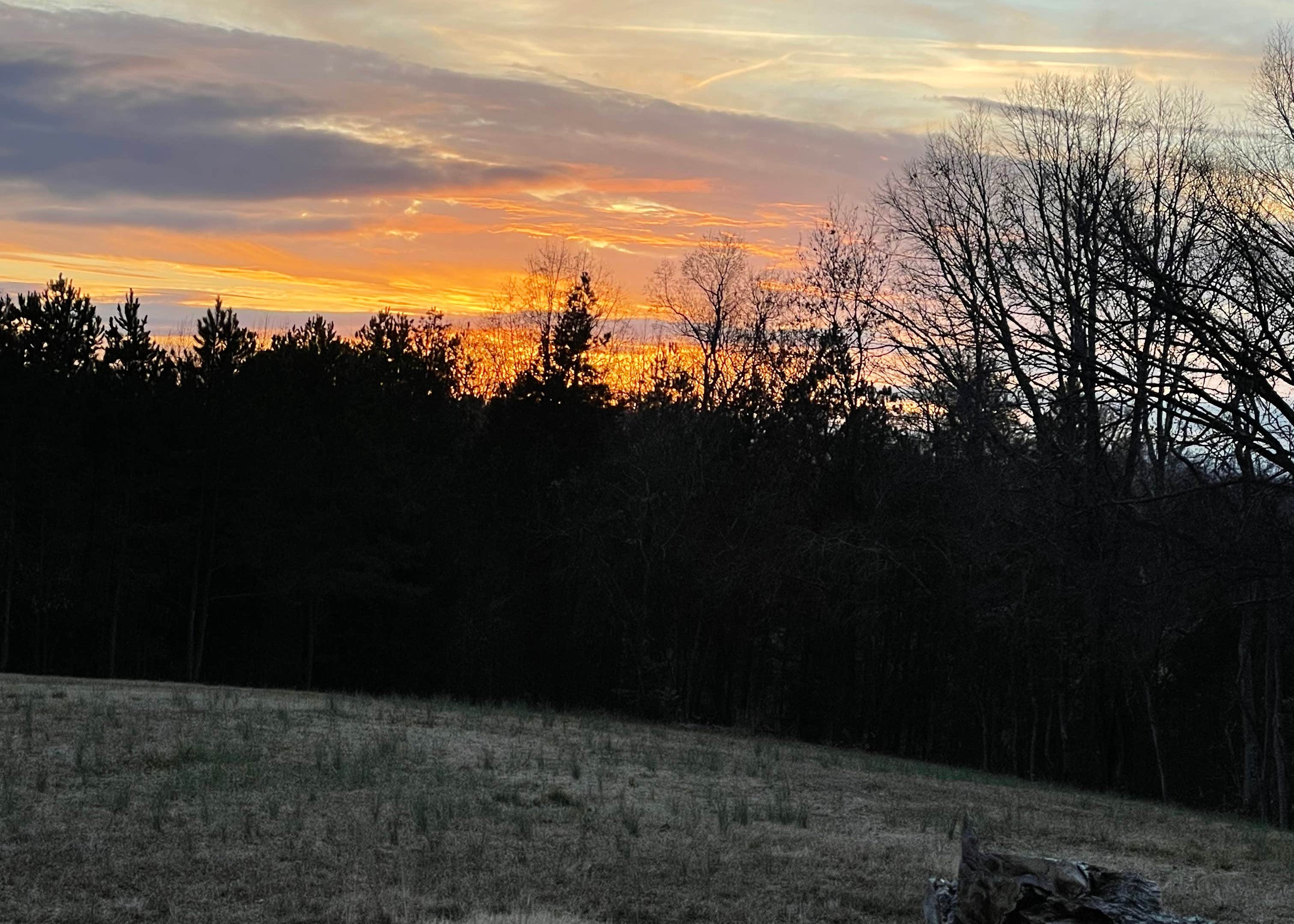 Ivory Clay Farm Camping | The Dyrt