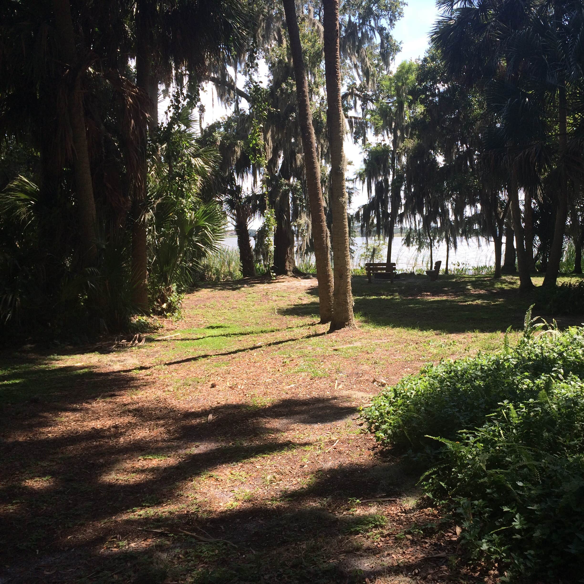 Trimble Park Campground Camping | The Dyrt