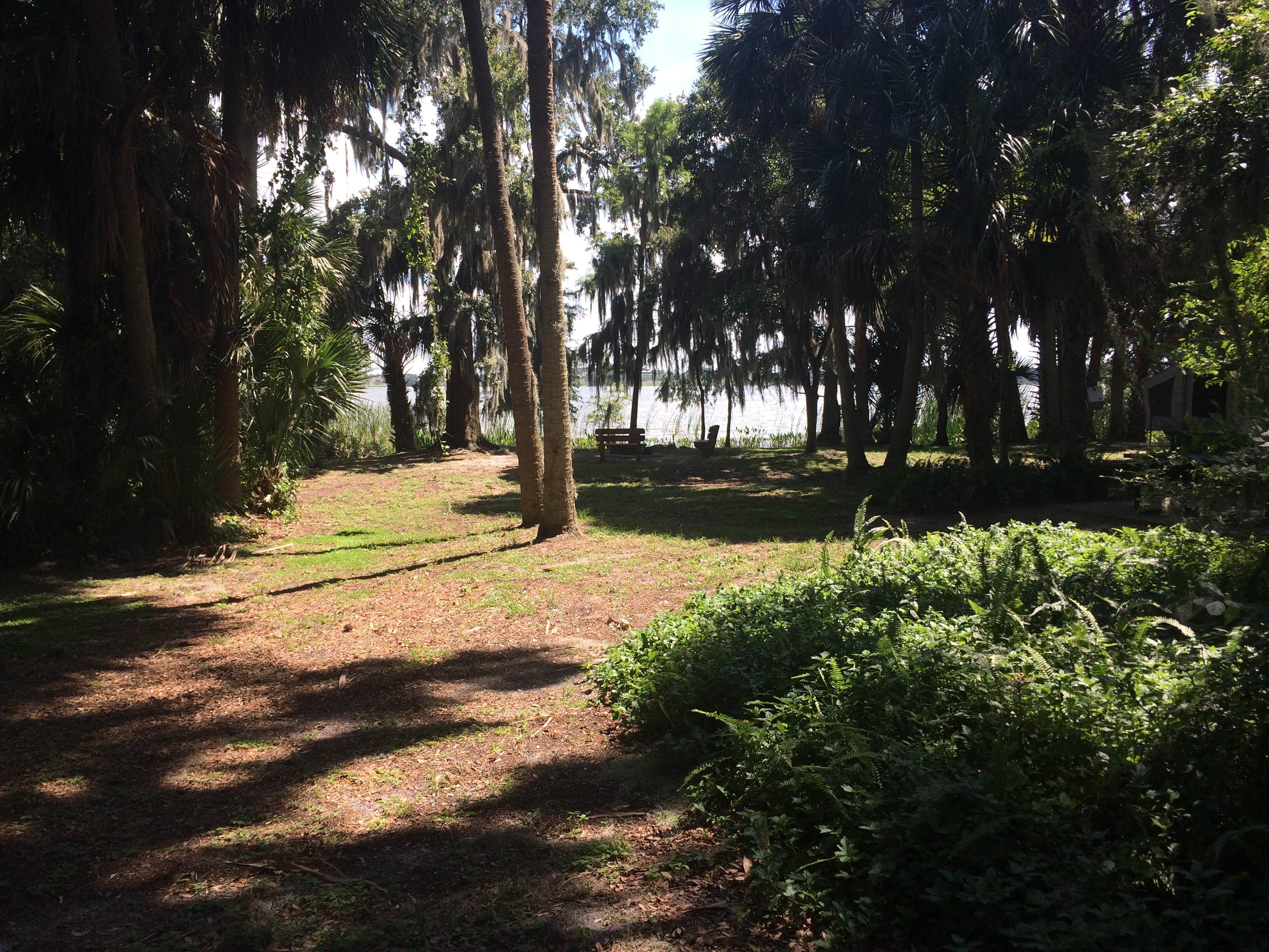 Trimble Park Campground | Mount Dora, Florida
