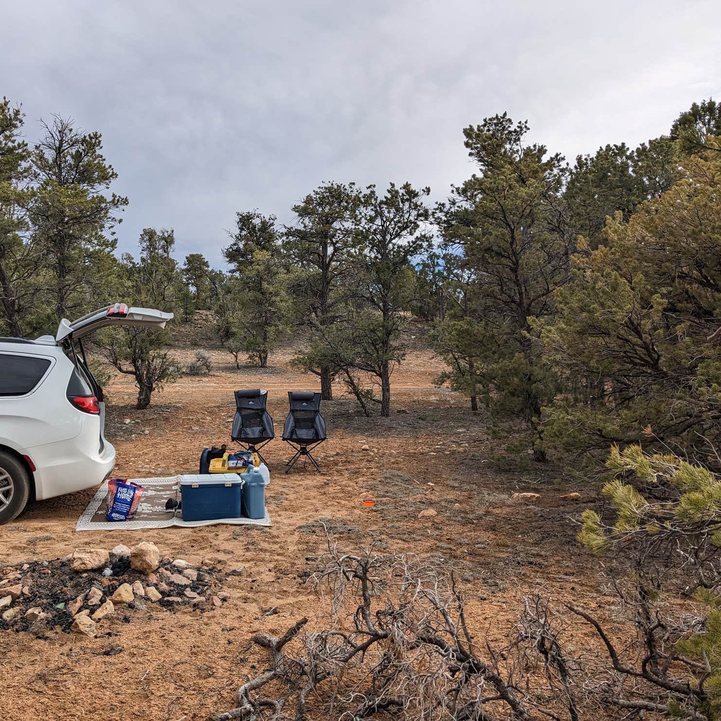 Kaibab Forest Dispersed FR 682 Camping | The Dyrt
