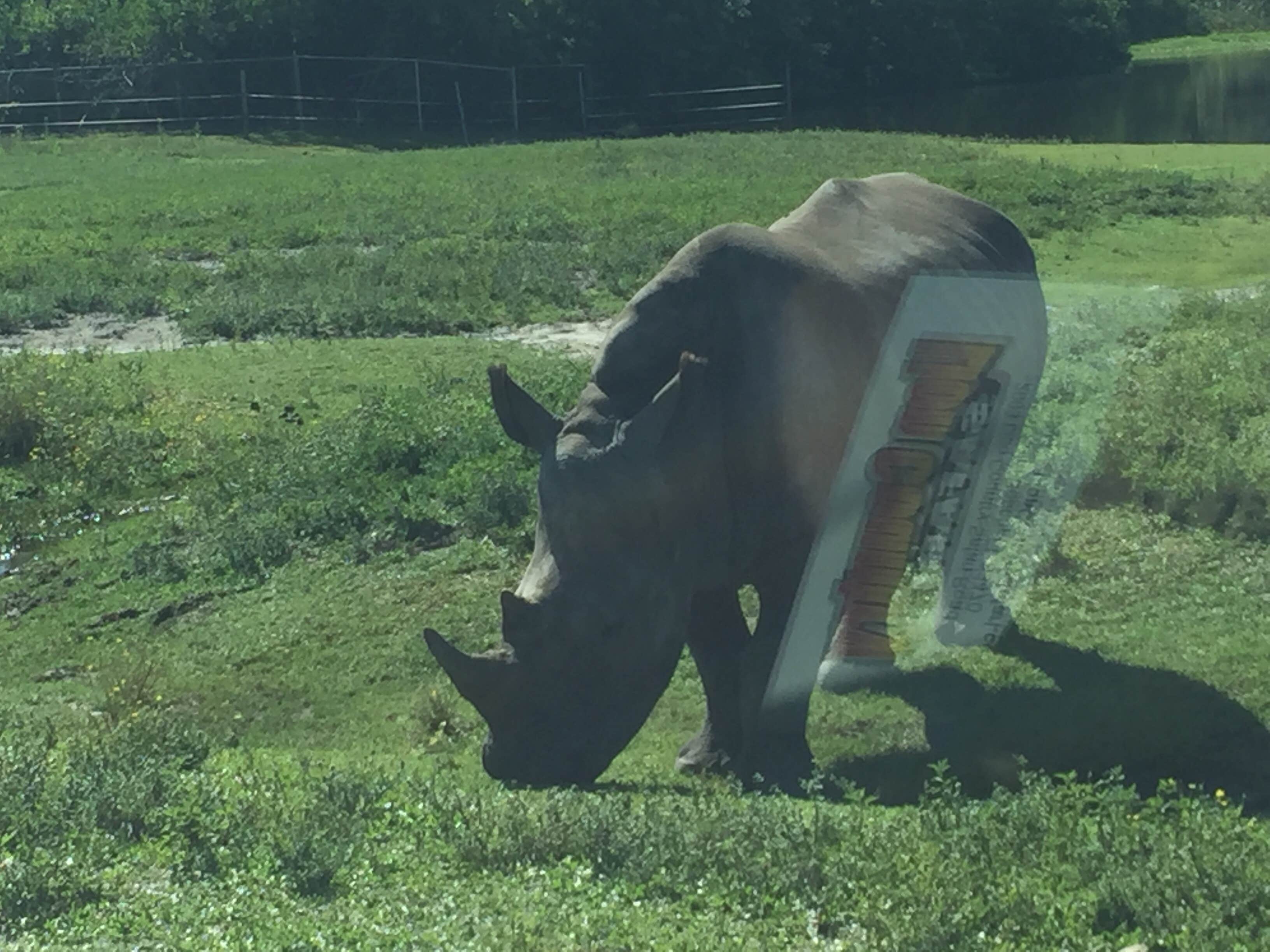 West Palm Beach-Lion Country Safari KOA Camping | Loxahatchee, FL