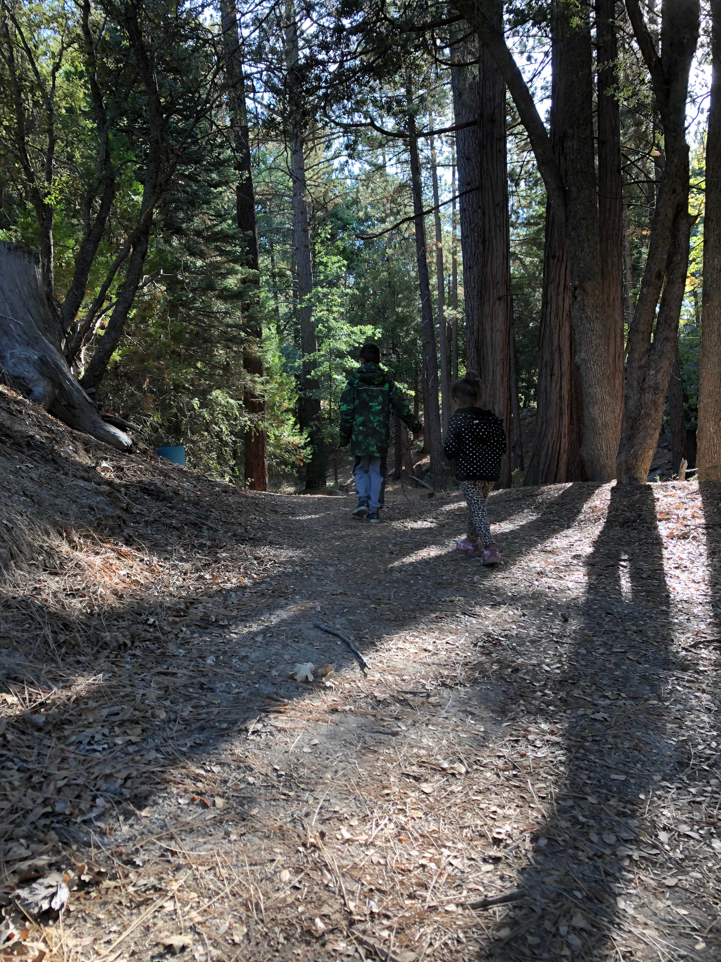 Stone Creek Campground — Mount San Jacinto State Park | Idyllwild-Pine ...