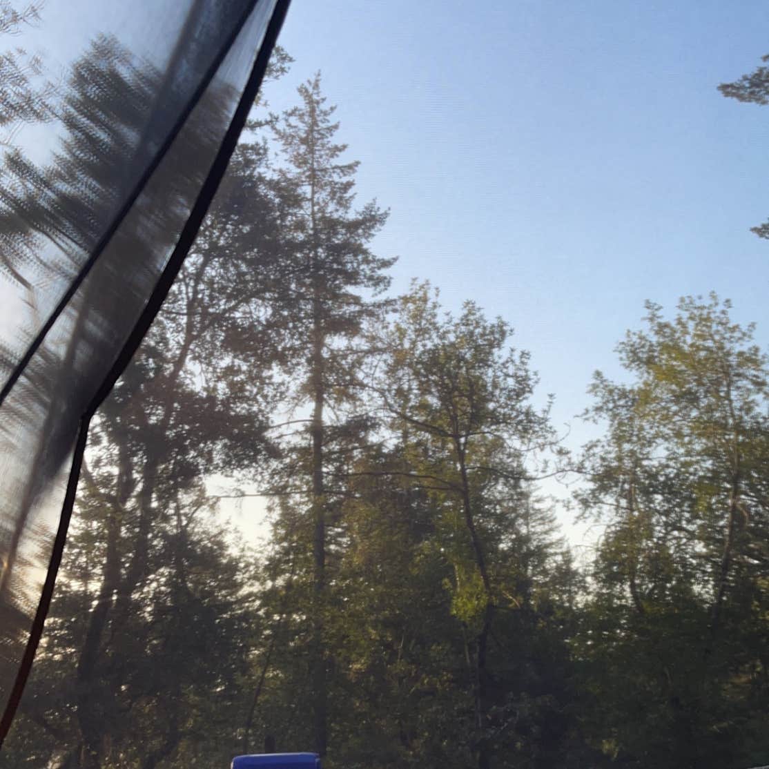 Bootjack Campground — Mount Tamalpais State Park | Stinson Beach ...