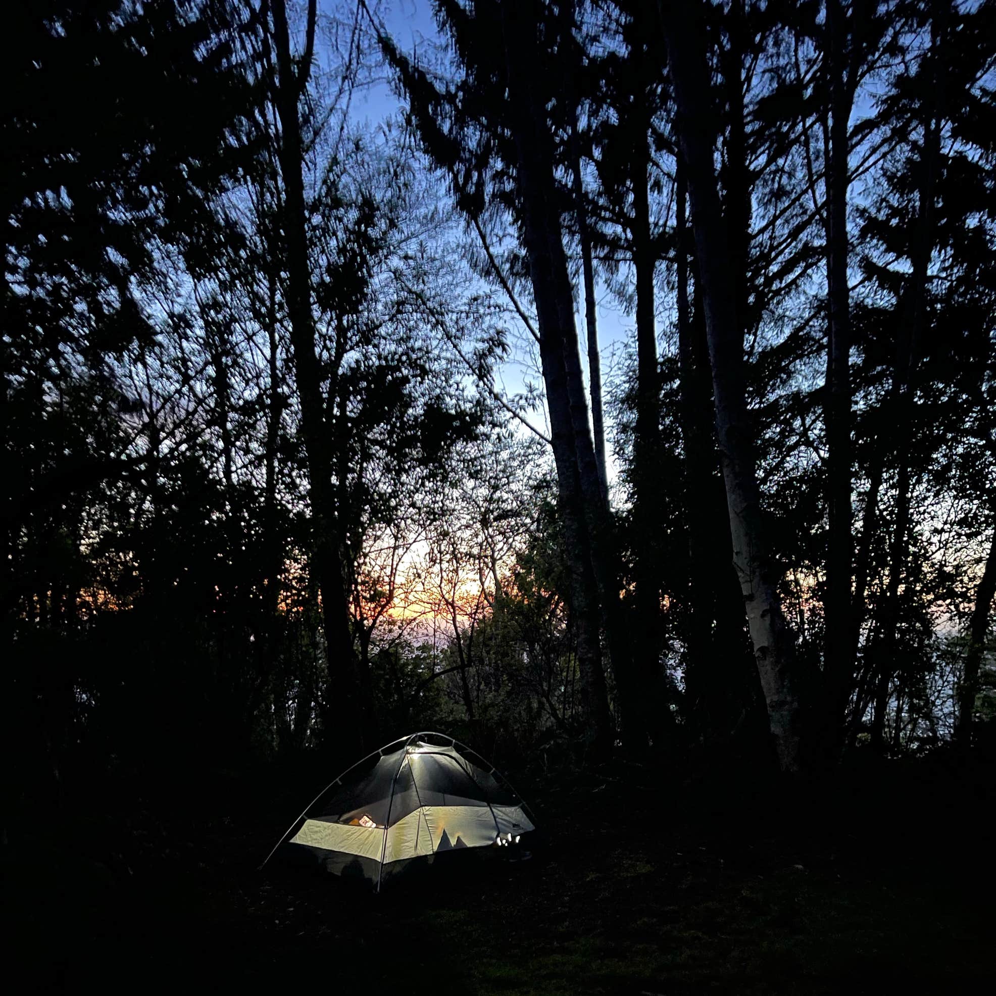 Flint Ridge Backcountry Site - Redwood National and State Park Camping ...