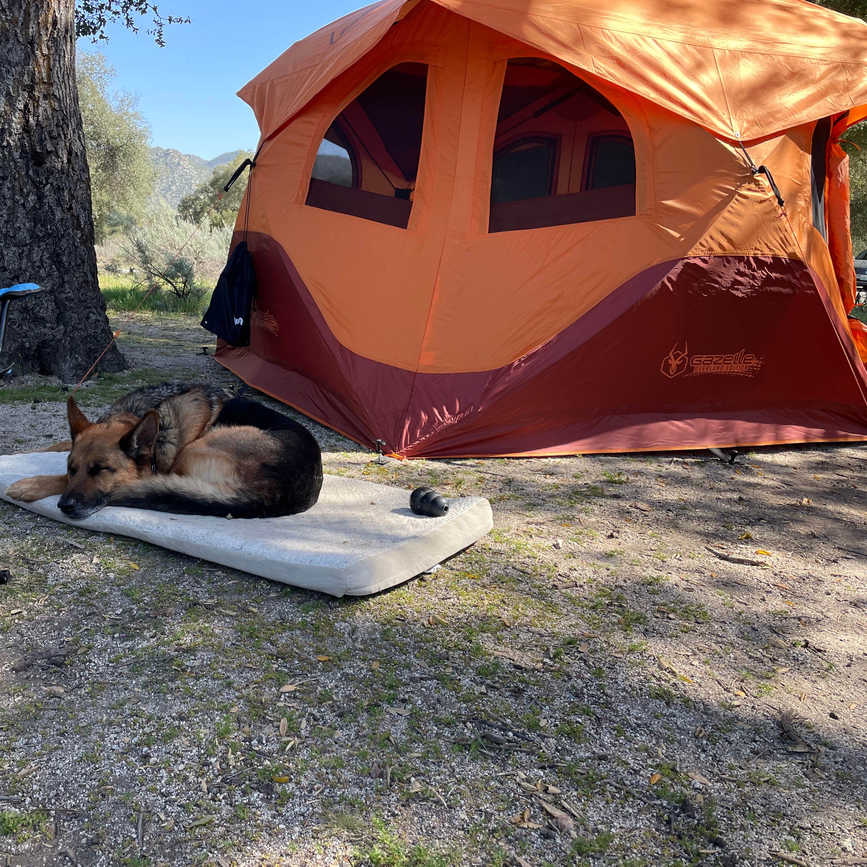 Boulder Oaks Eqst Camping | Alpine, CA