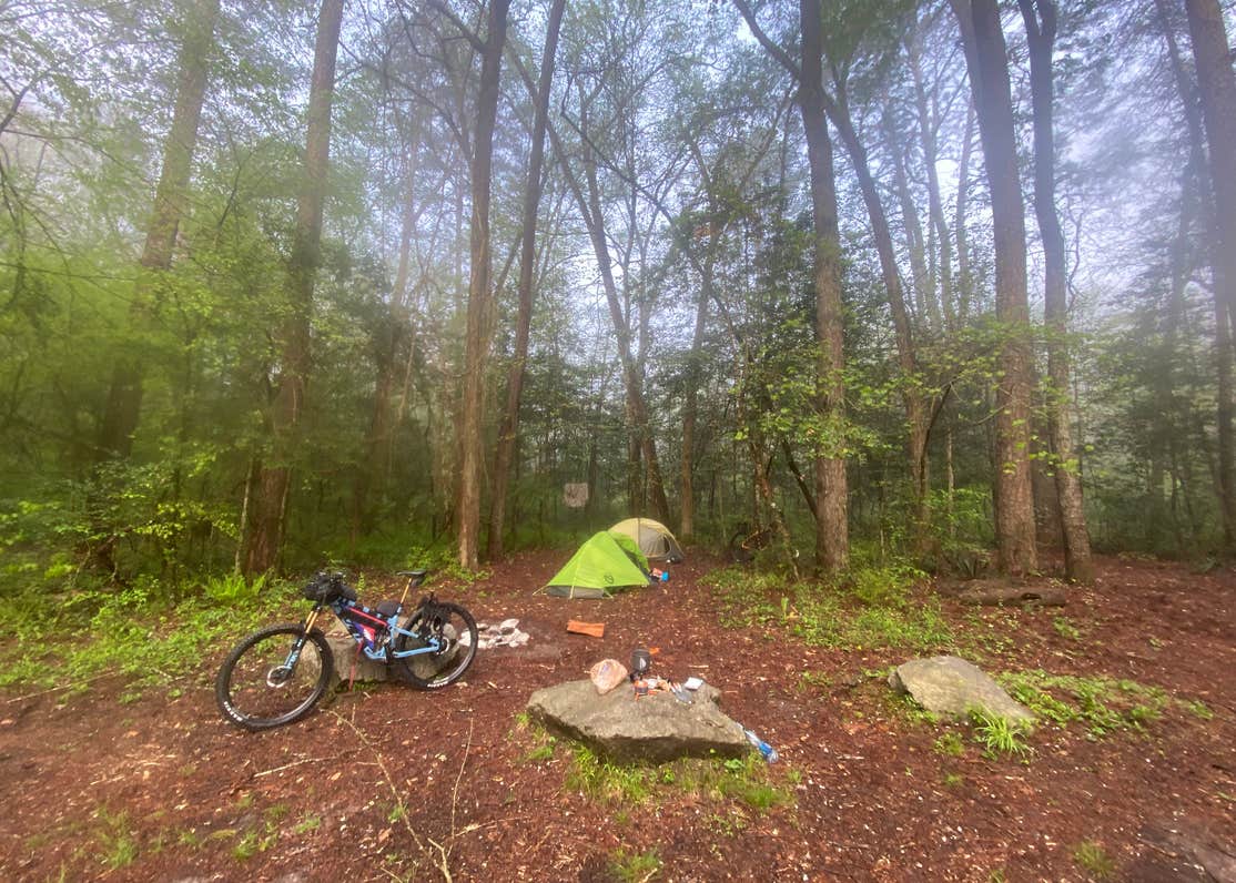 Cassidy Bridge Hunt Camp Camping | The Dyrt