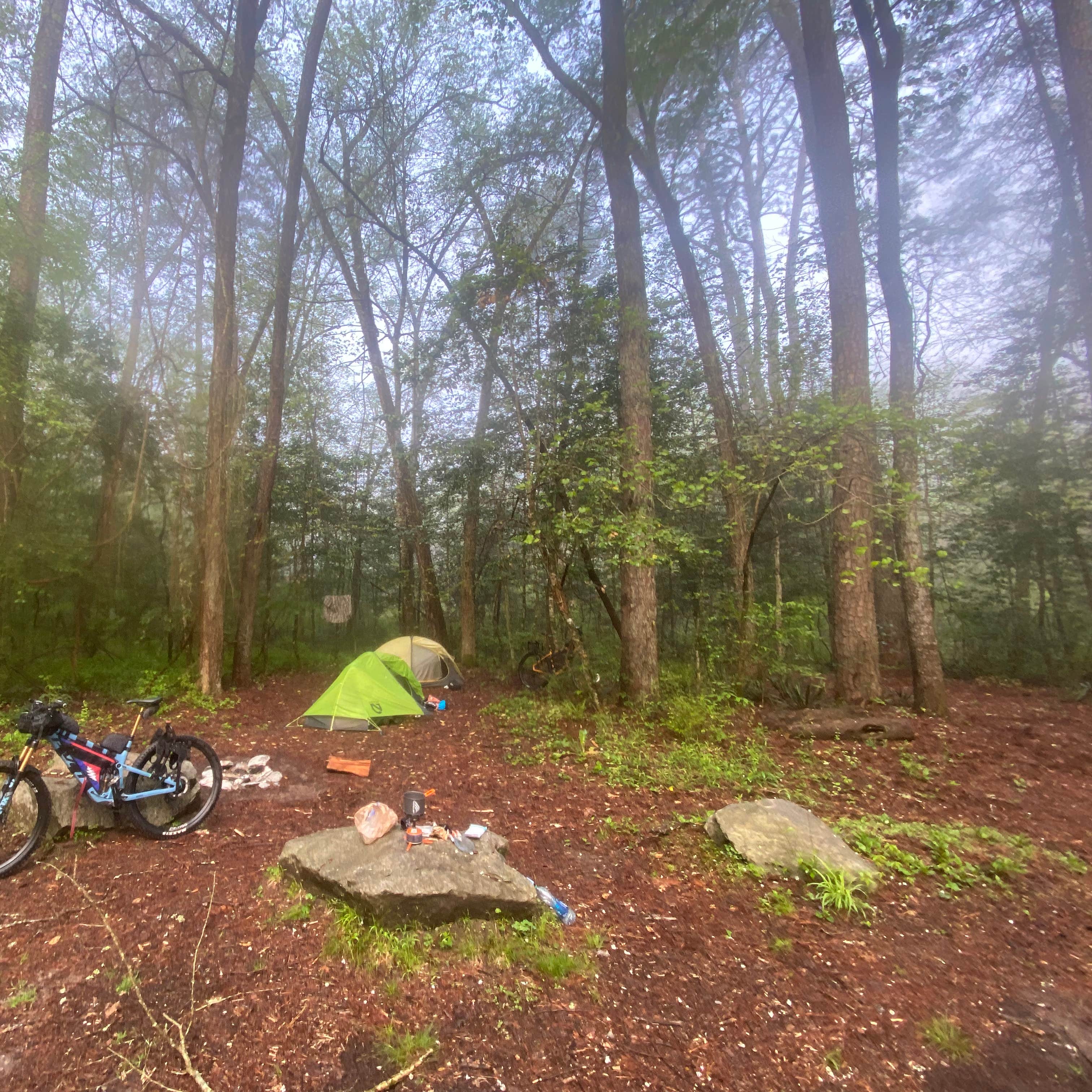 Cassidy Bridge Hunt Camp | Long Creek, South Carolina