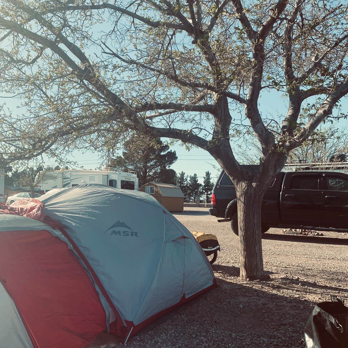 Sunrise RV Park | Deming, New Mexico