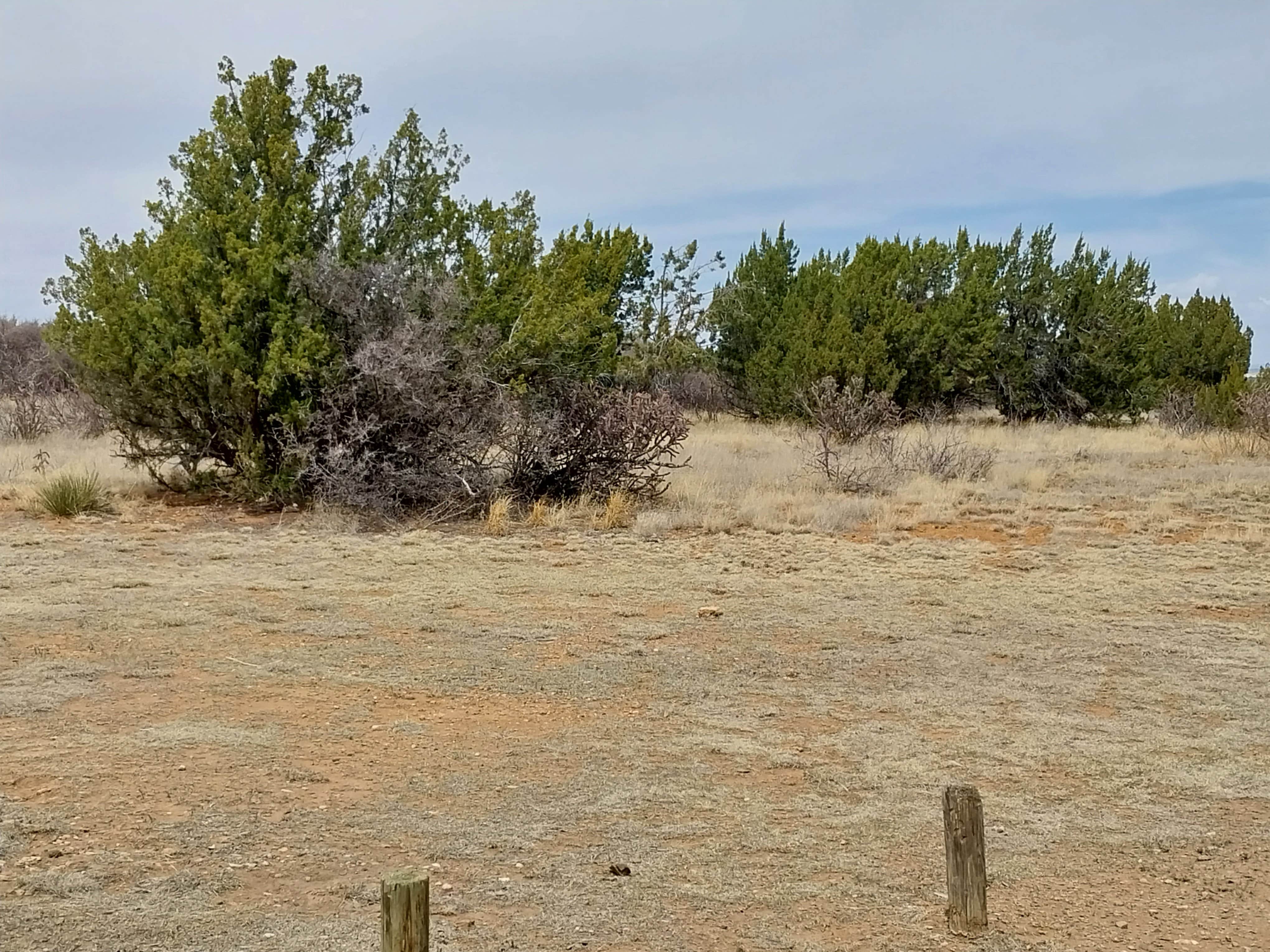 THE 10+ BEST Campgrounds near Santa Rosa, NM