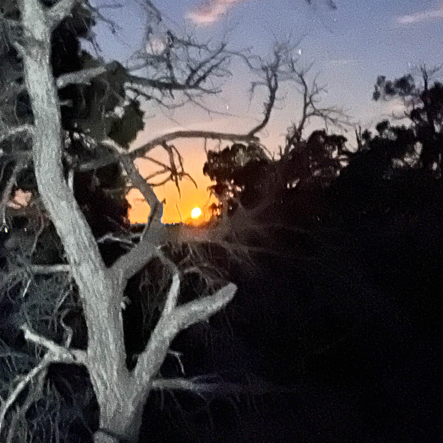 Navajo National Monument Sunset View Campground | Shonto, AZ