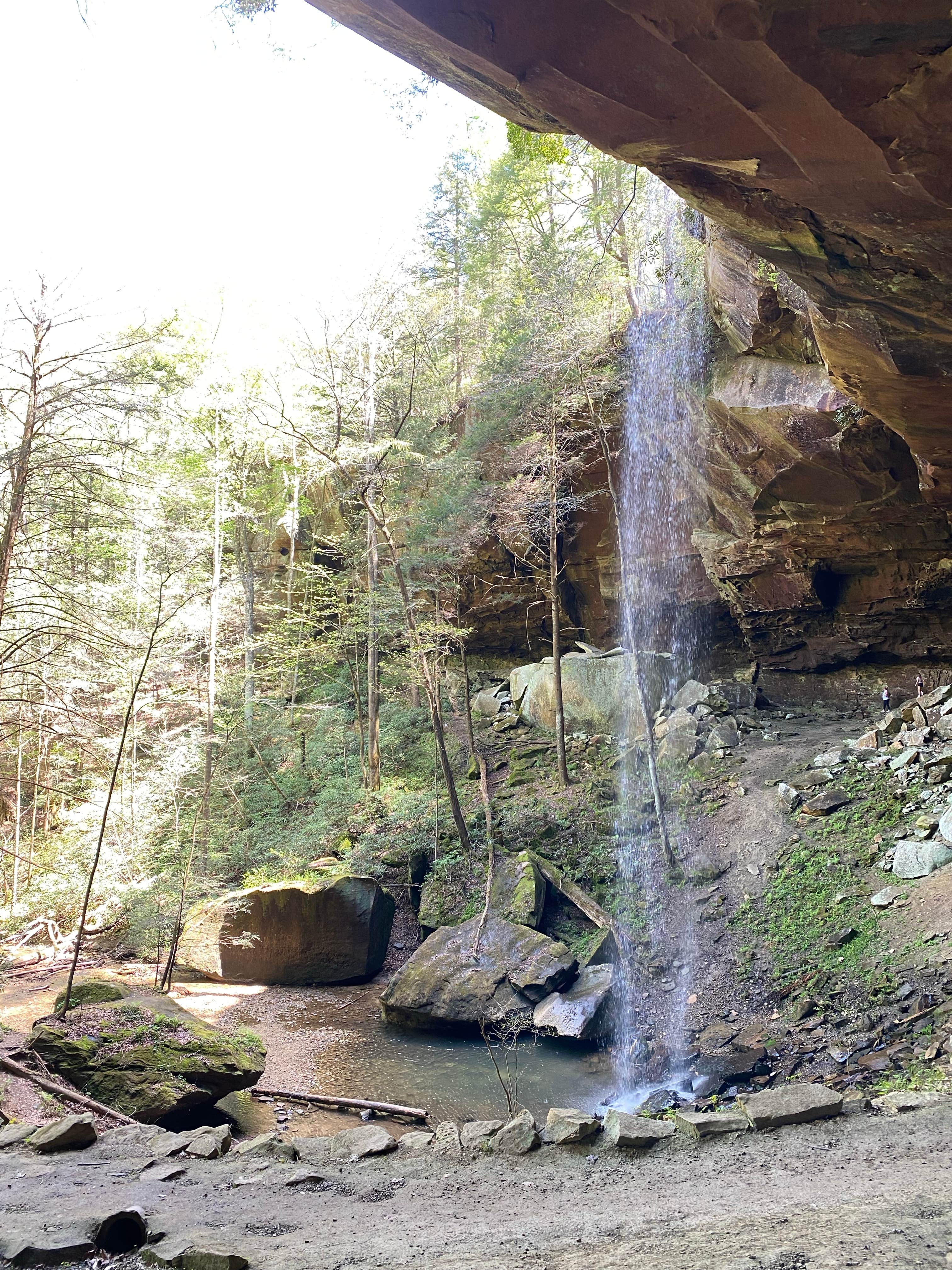 General Burnside Island State Park Campground | Burnside, KY