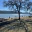 Collins Lake Recreation Area Camping | Oregon House, California