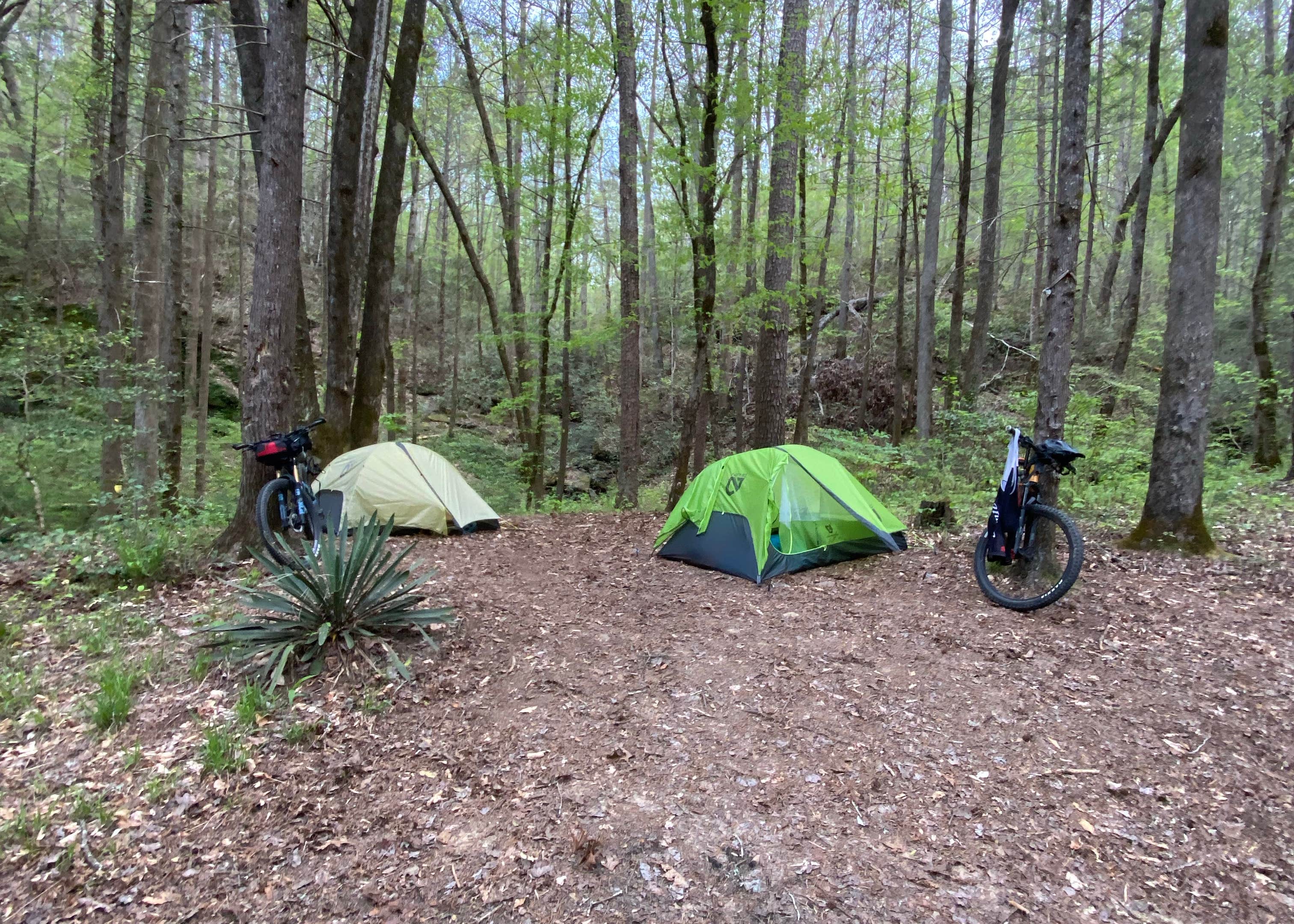 Riley Moore Falls Campsite Camping | The Dyrt