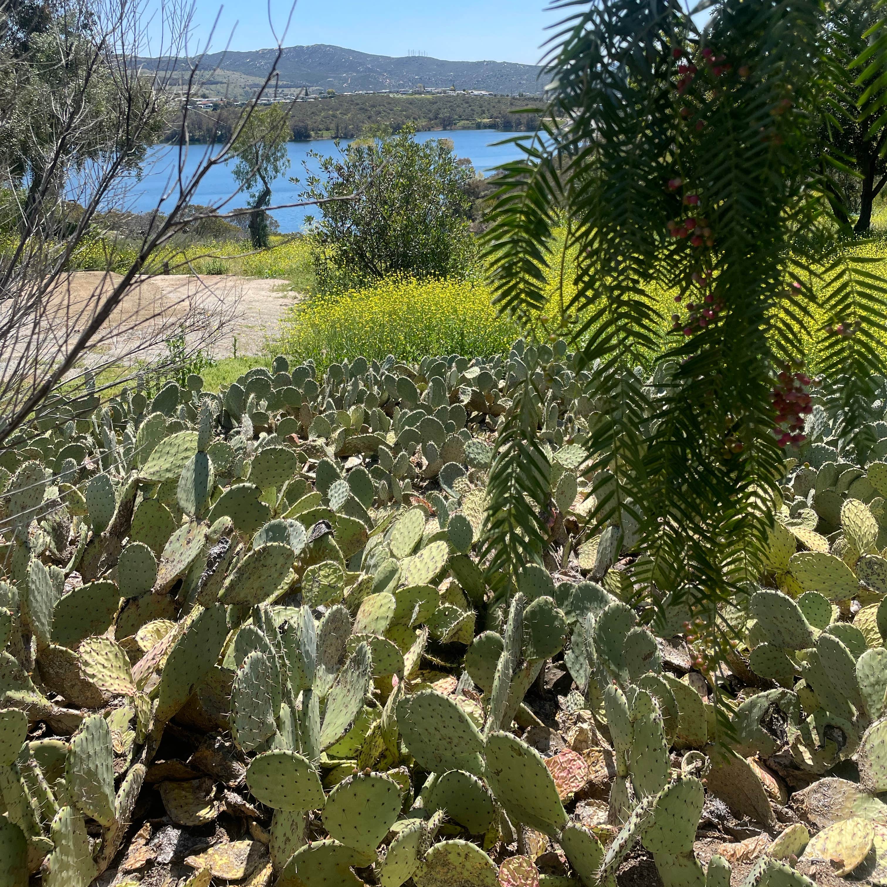 Lake Jennings Camping | Lakeside, CA
