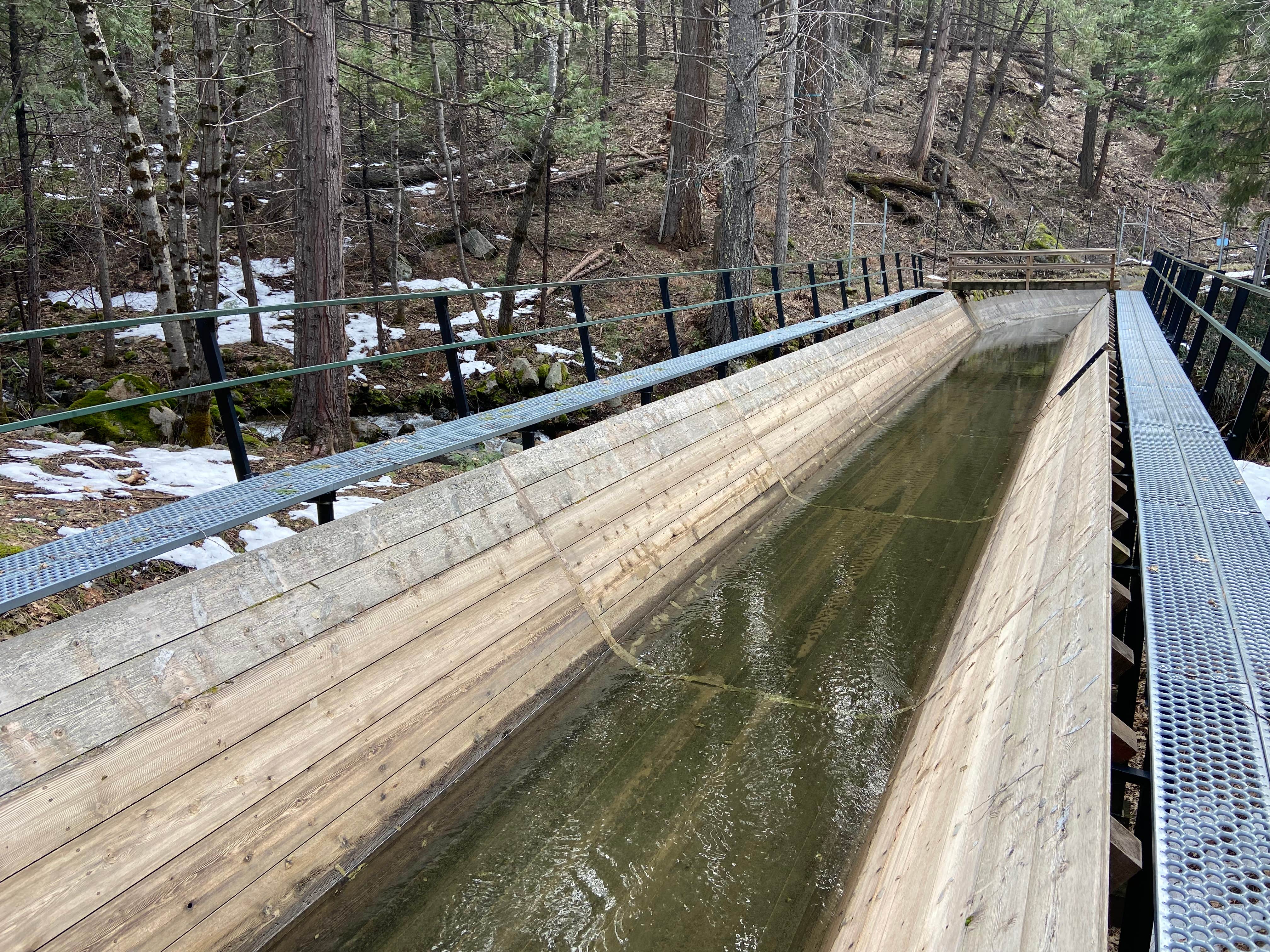 China Flat Campground Camping | The Dyrt