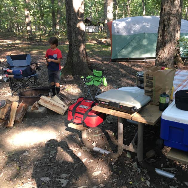 Oak Ridge Campground - Prince William Forest Park Camping | The Dyrt