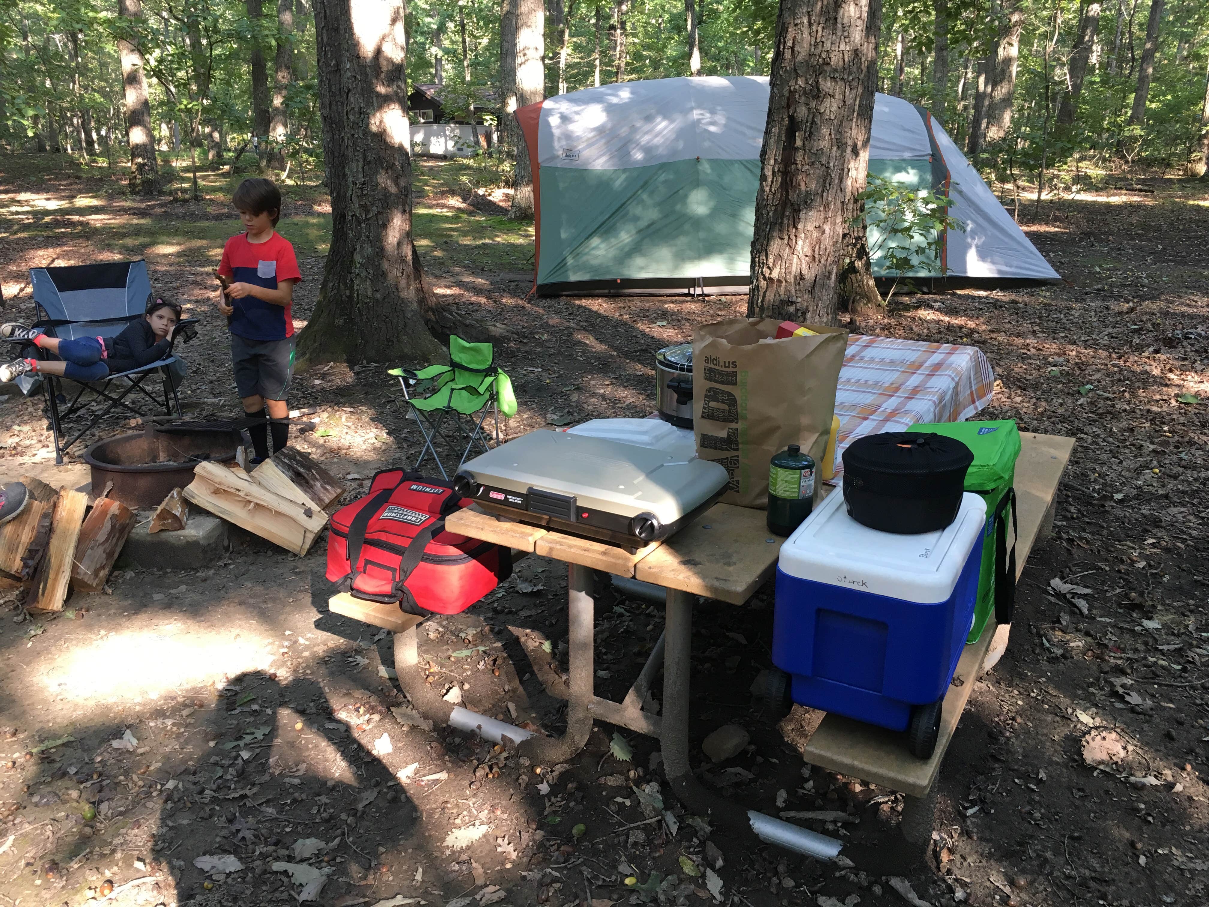 Oak Ridge Campground — Prince William Forest Park | Triangle, VA