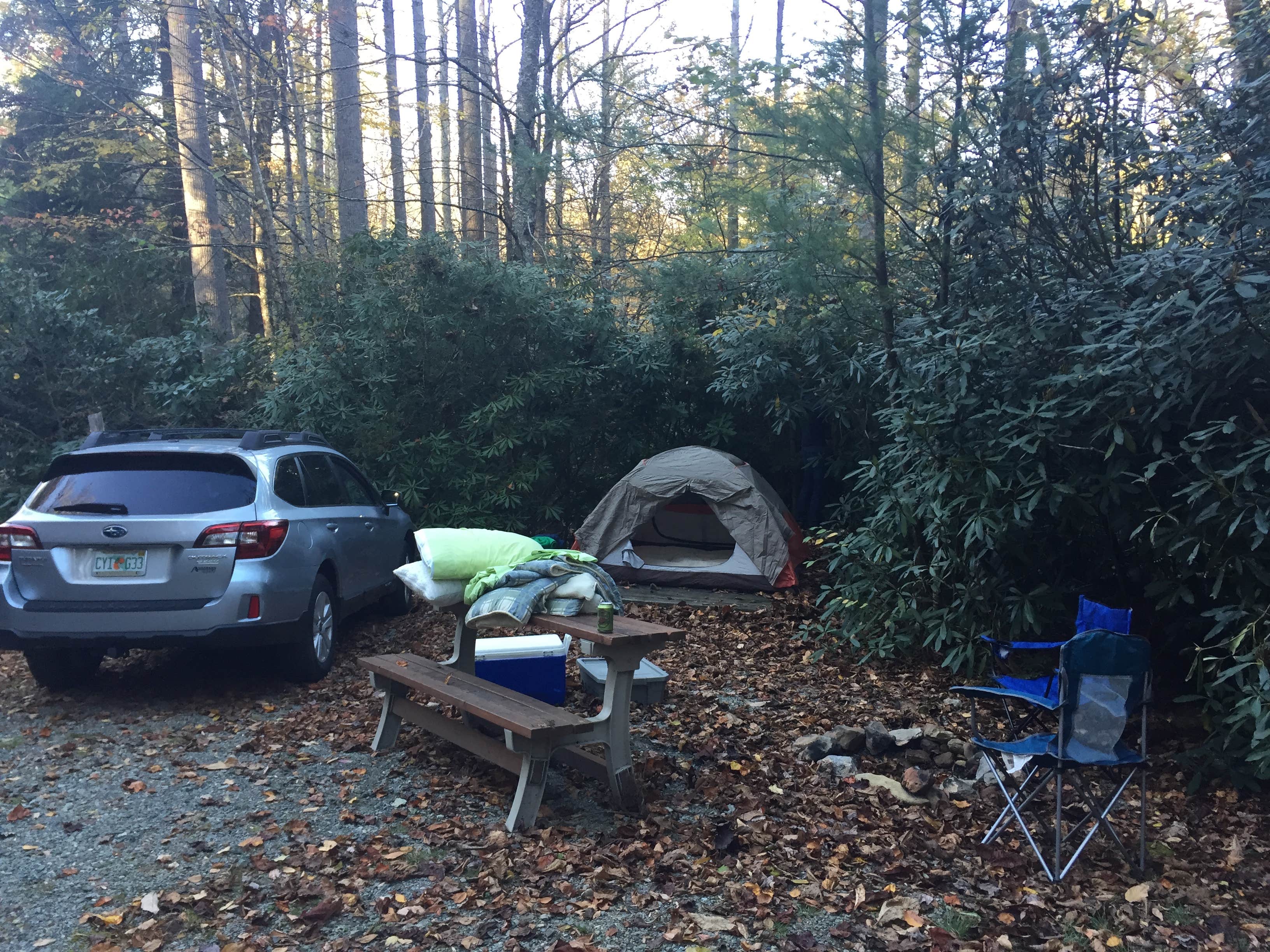 Honey Bear Campground | Boone, North Carolina