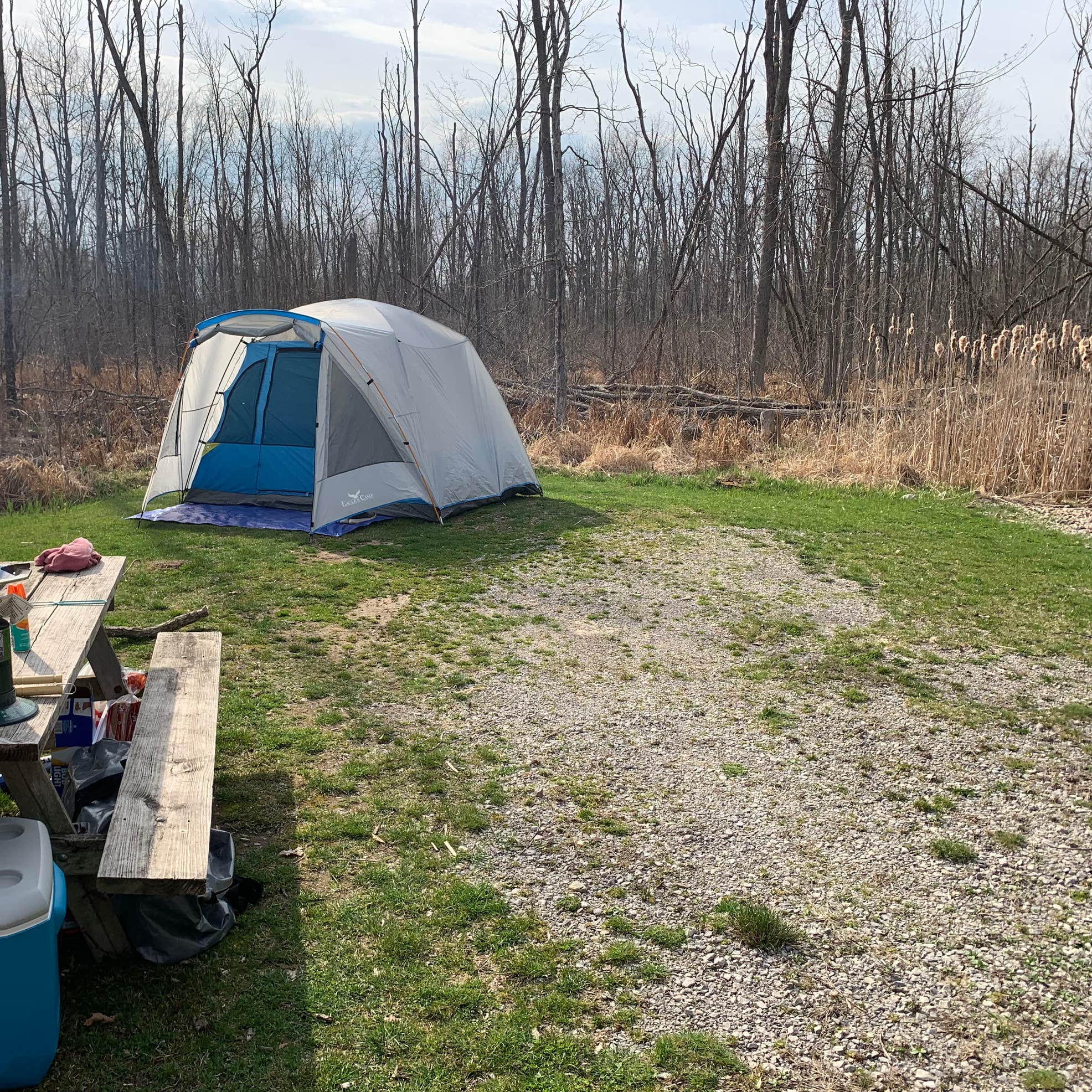Pinconning County Park Camping | Pinconning, Michigan