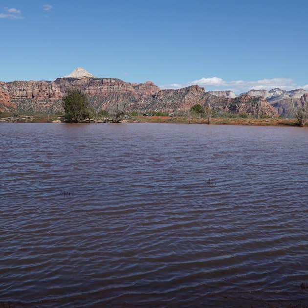 Zion Wright Family Ranch Camping | Virgin, UT