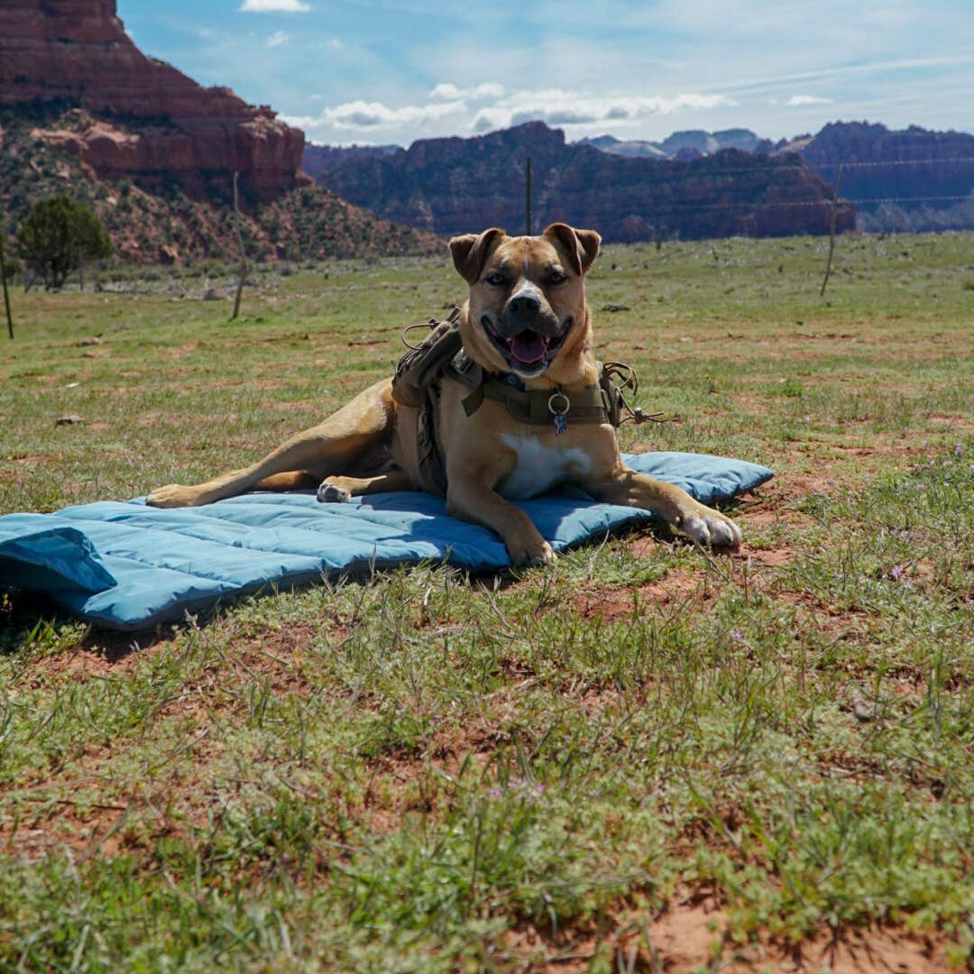 Zion Wright Family Ranch Camping | Virgin, Utah