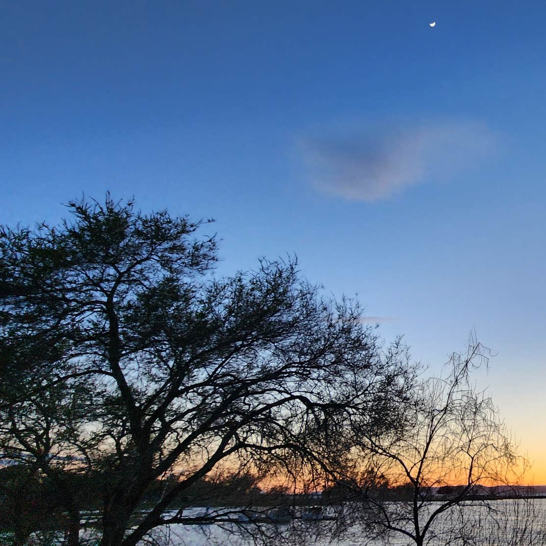 Boardman Marina Park Camping | Boardman, Oregon
