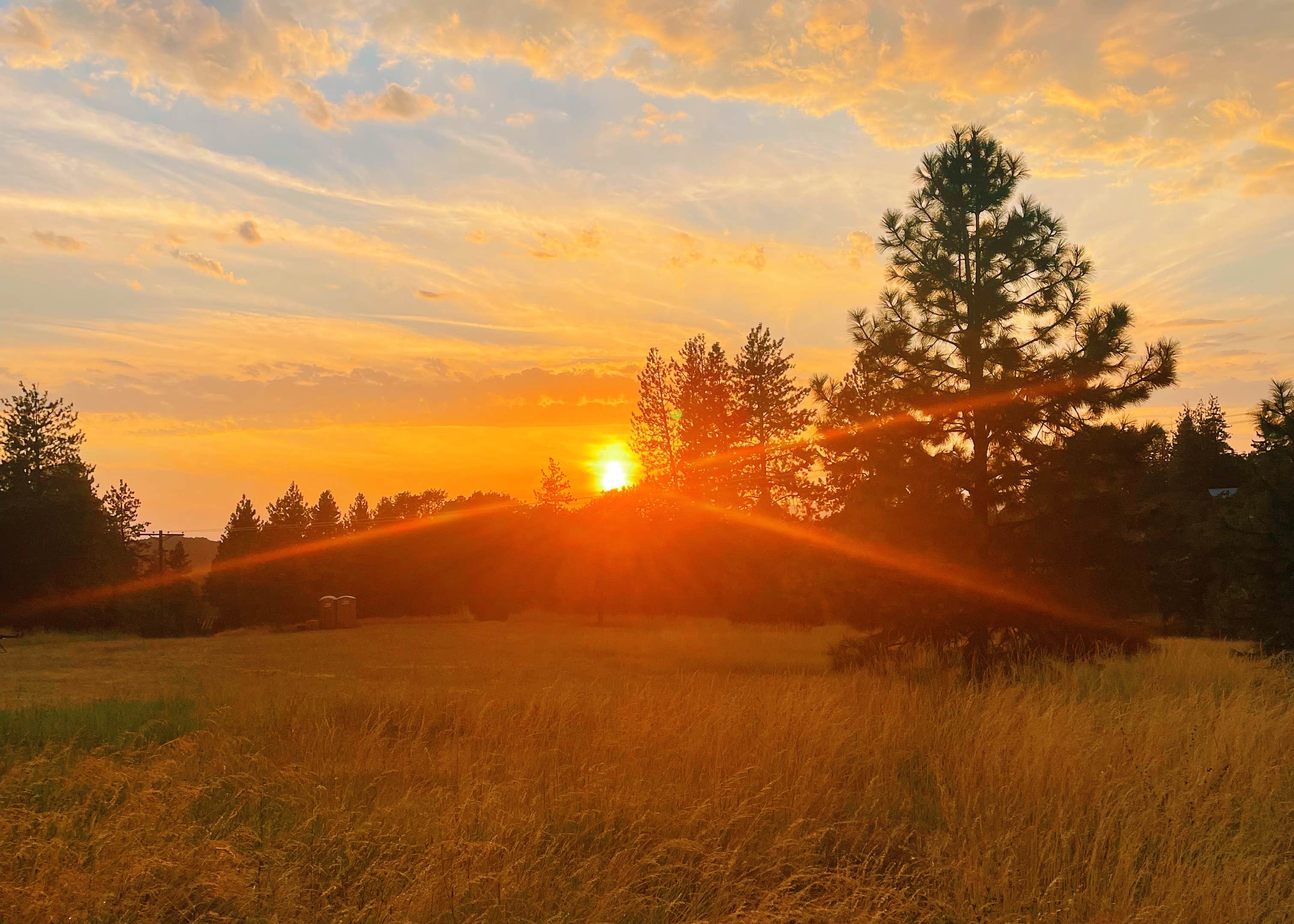 Roots Rise Family Farm Camping | The Dyrt