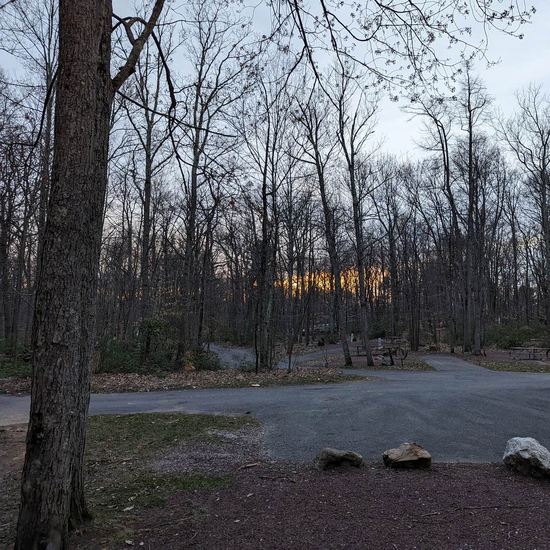Hickory Run State Park Campground | Albrightsville, Pennsylvania