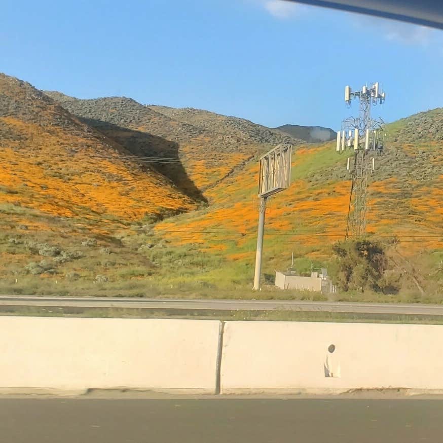 Glen Ivy RV Park Camping | The Dyrt