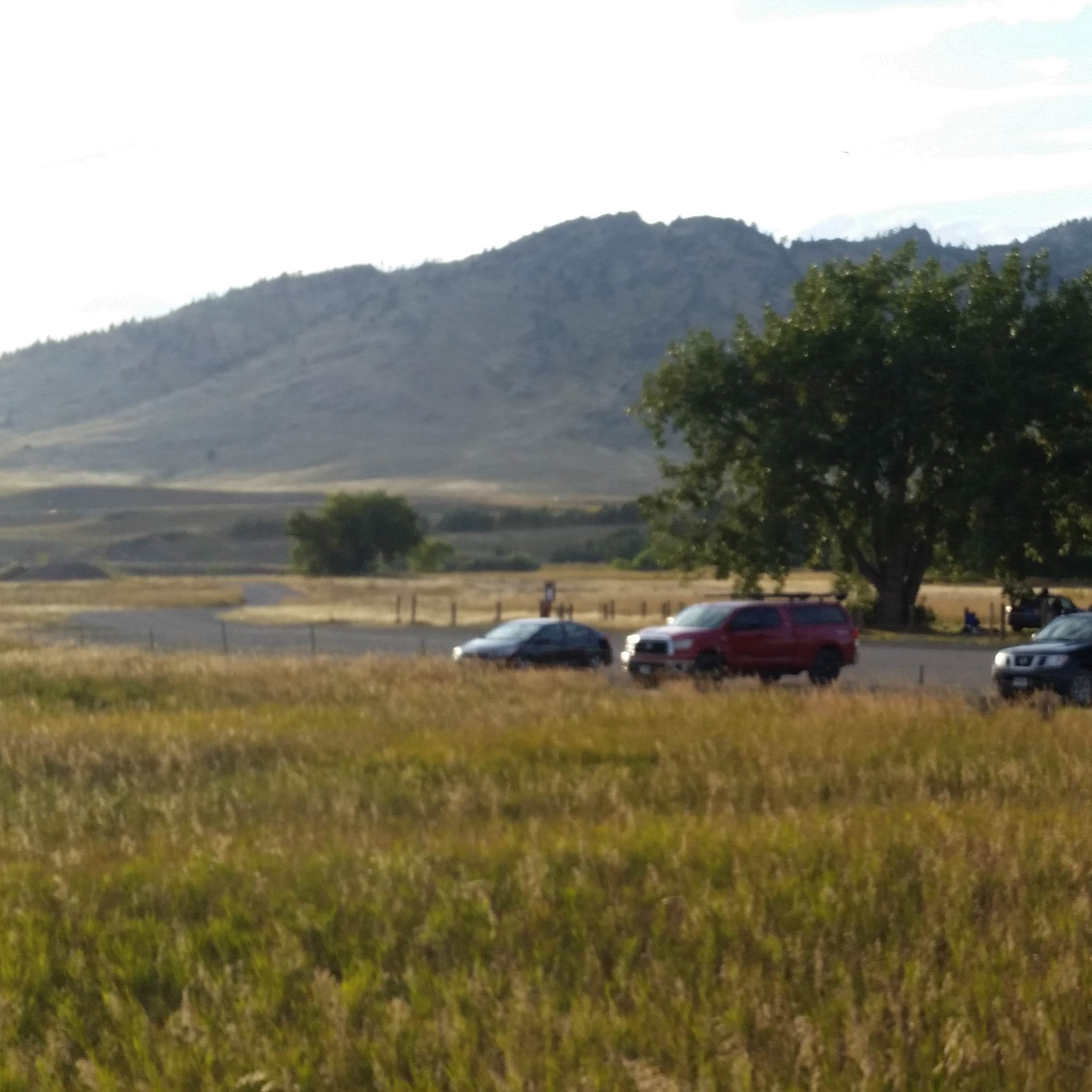 Pelican Point Fishing Access Site Camping | The Dyrt