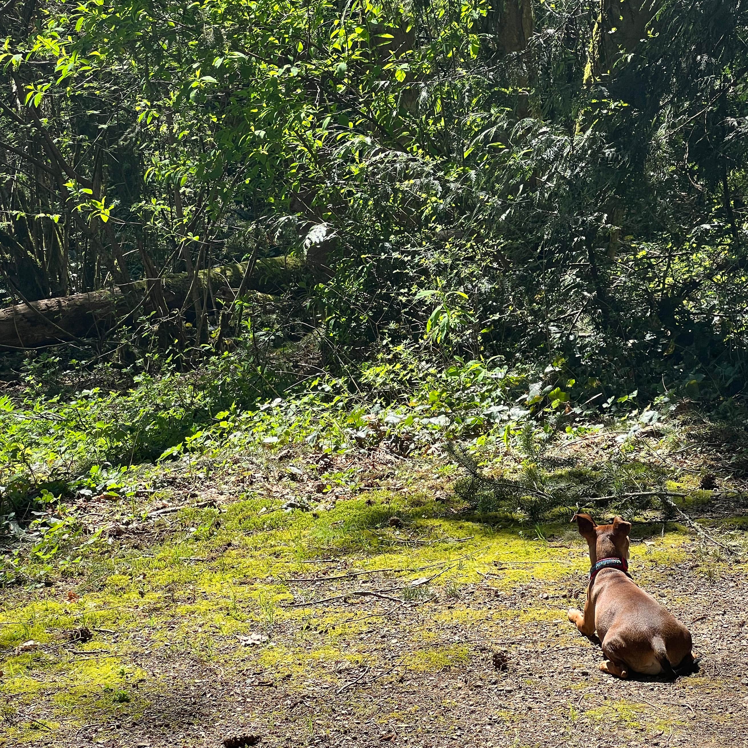 Battle Ground Lake State Park Campground | Heisson, Washington