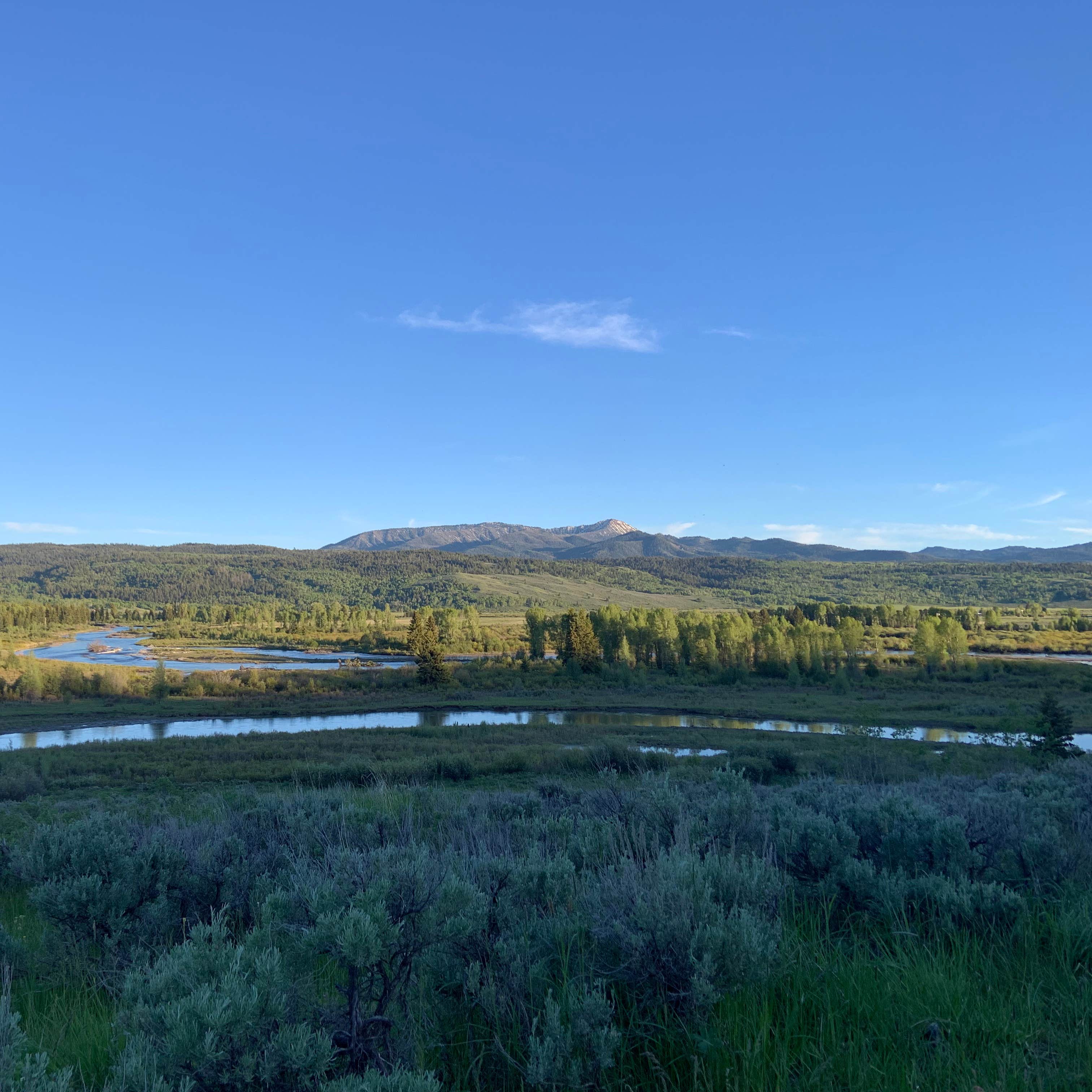 Turpin Meadow Campground Camping | The Dyrt