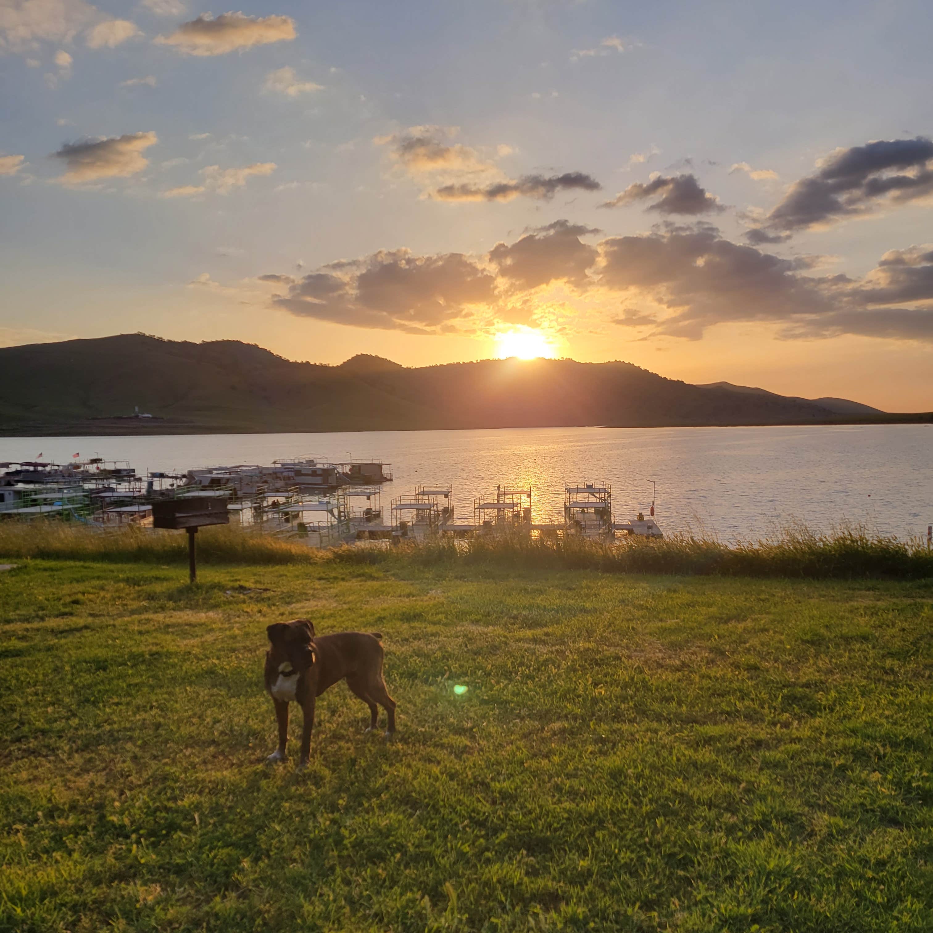 Tule - Success Lake Camping | Springville, California