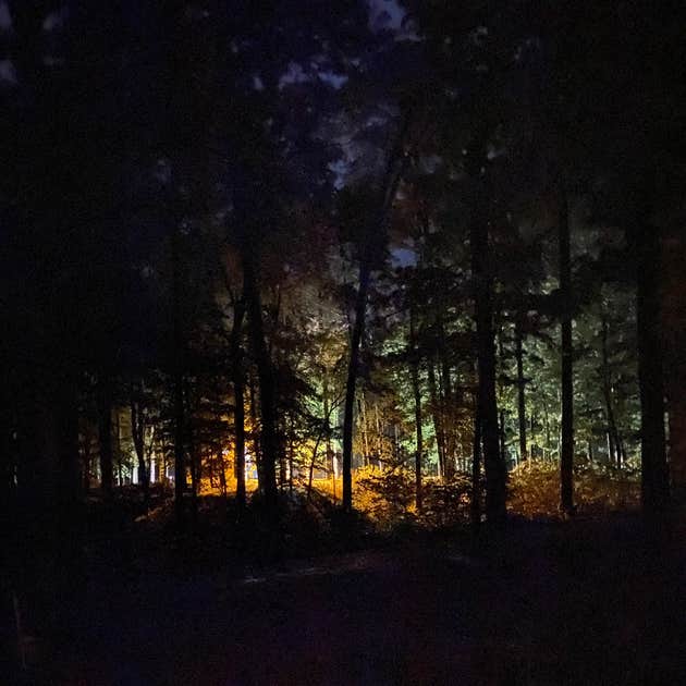 Denby Point Camping | Mount Ida, Arkansas