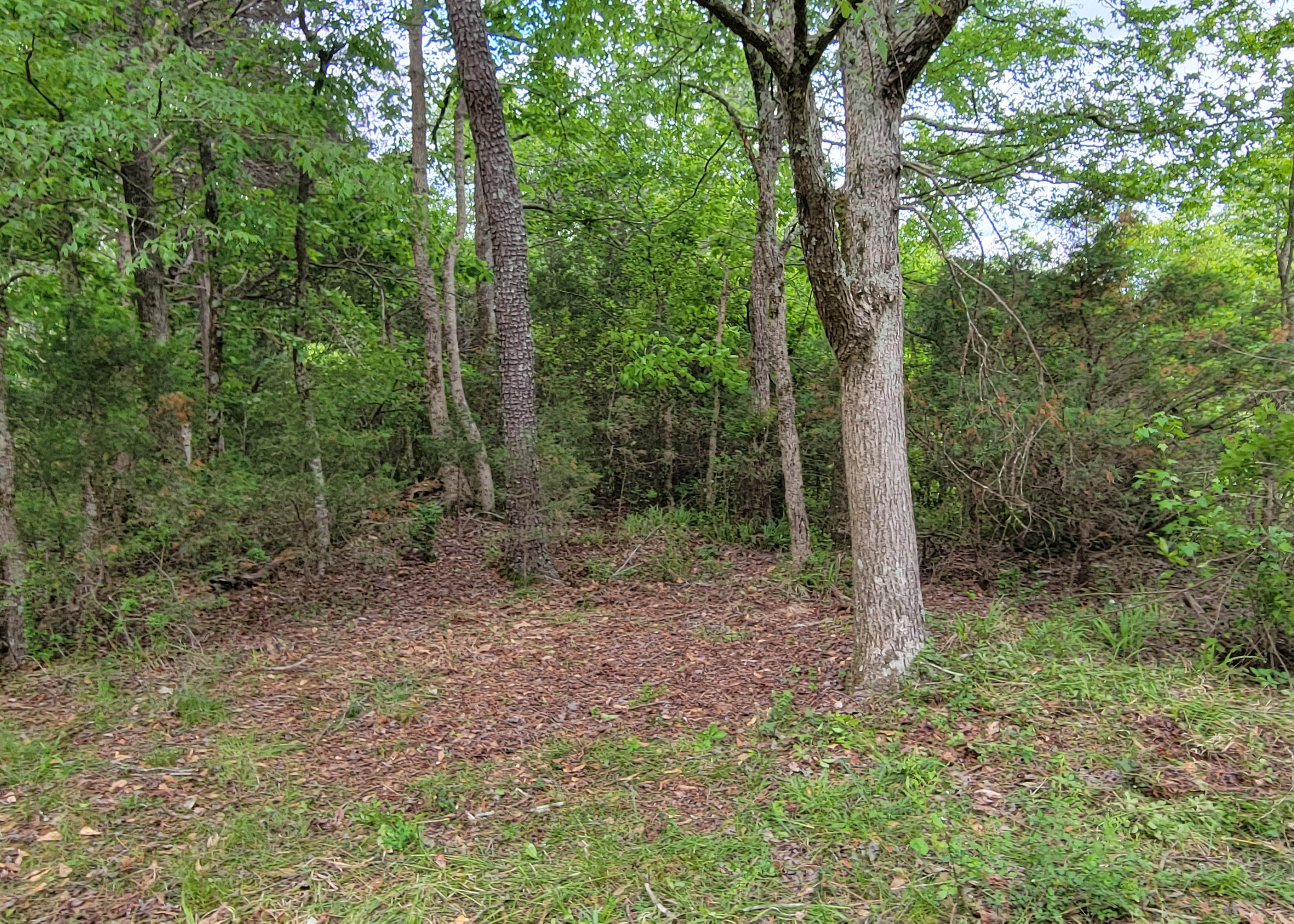 Bates Farm Camping | The Dyrt