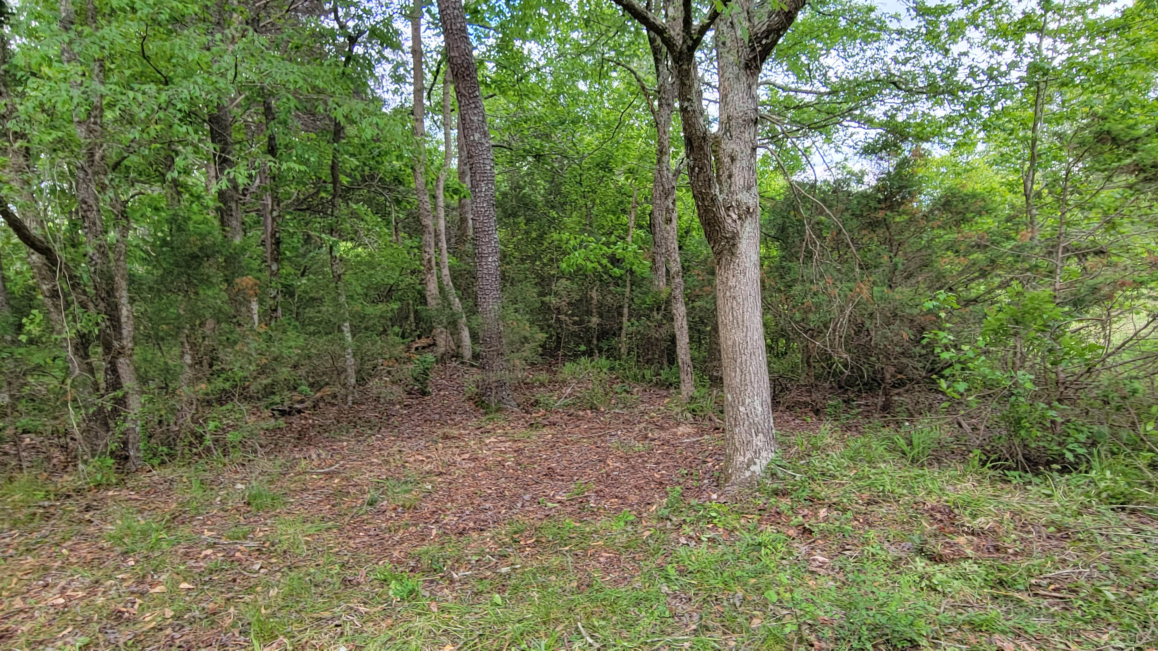 Bates Farm Camping | Trinity, AL