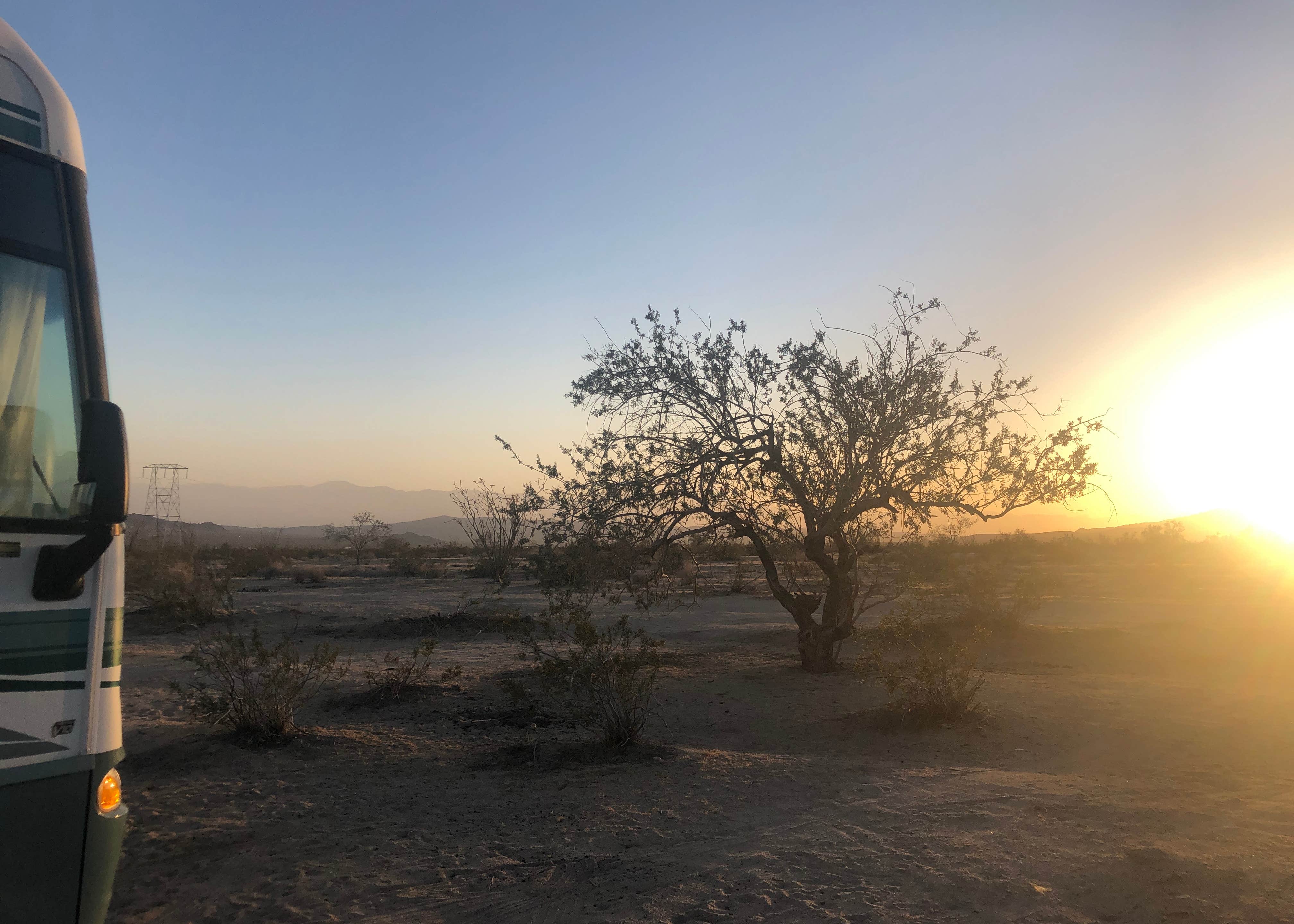 Joshua tree BLM by entrance Camping | The Dyrt