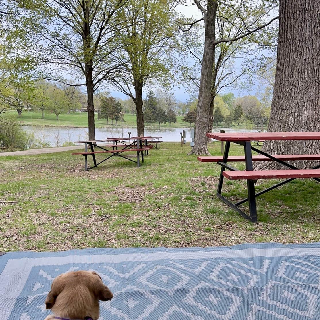 Allison Lake Storey Camping | Galesburg, IL