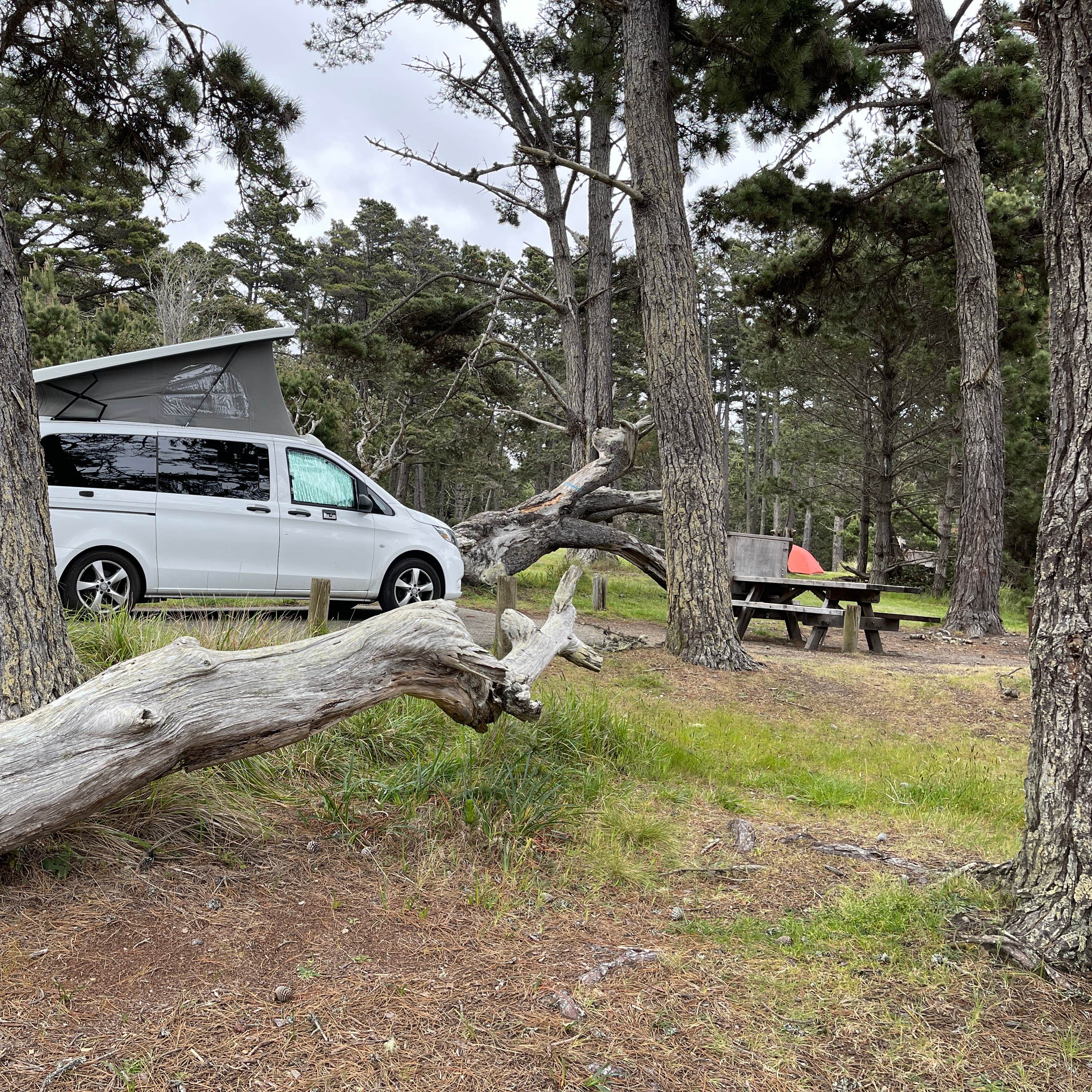 Salt Point State Park Campground | Jenner, CA