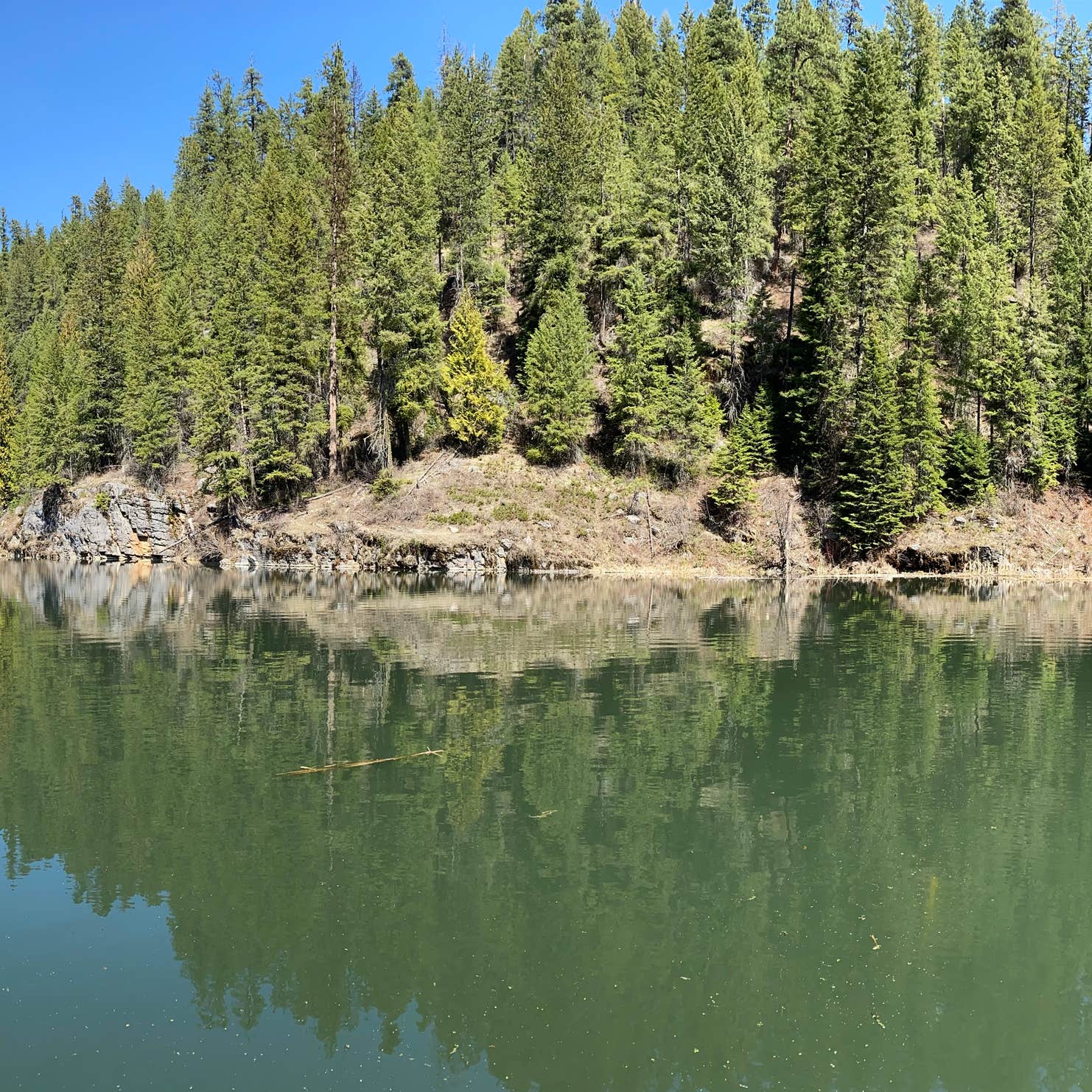 Trout Lake Campground | Colville National Forest, Washington