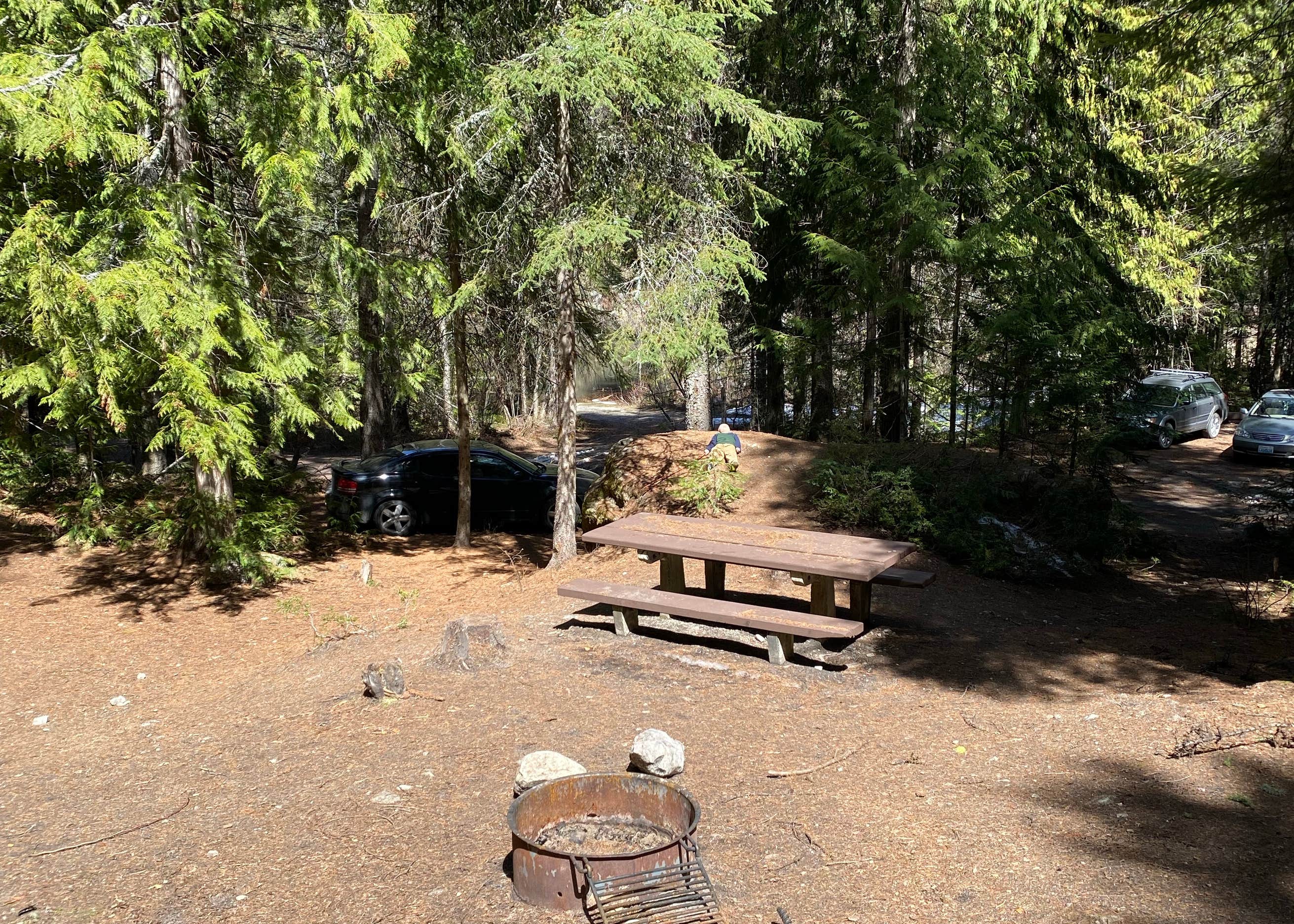 Trout Lake Campground Camping | The Dyrt