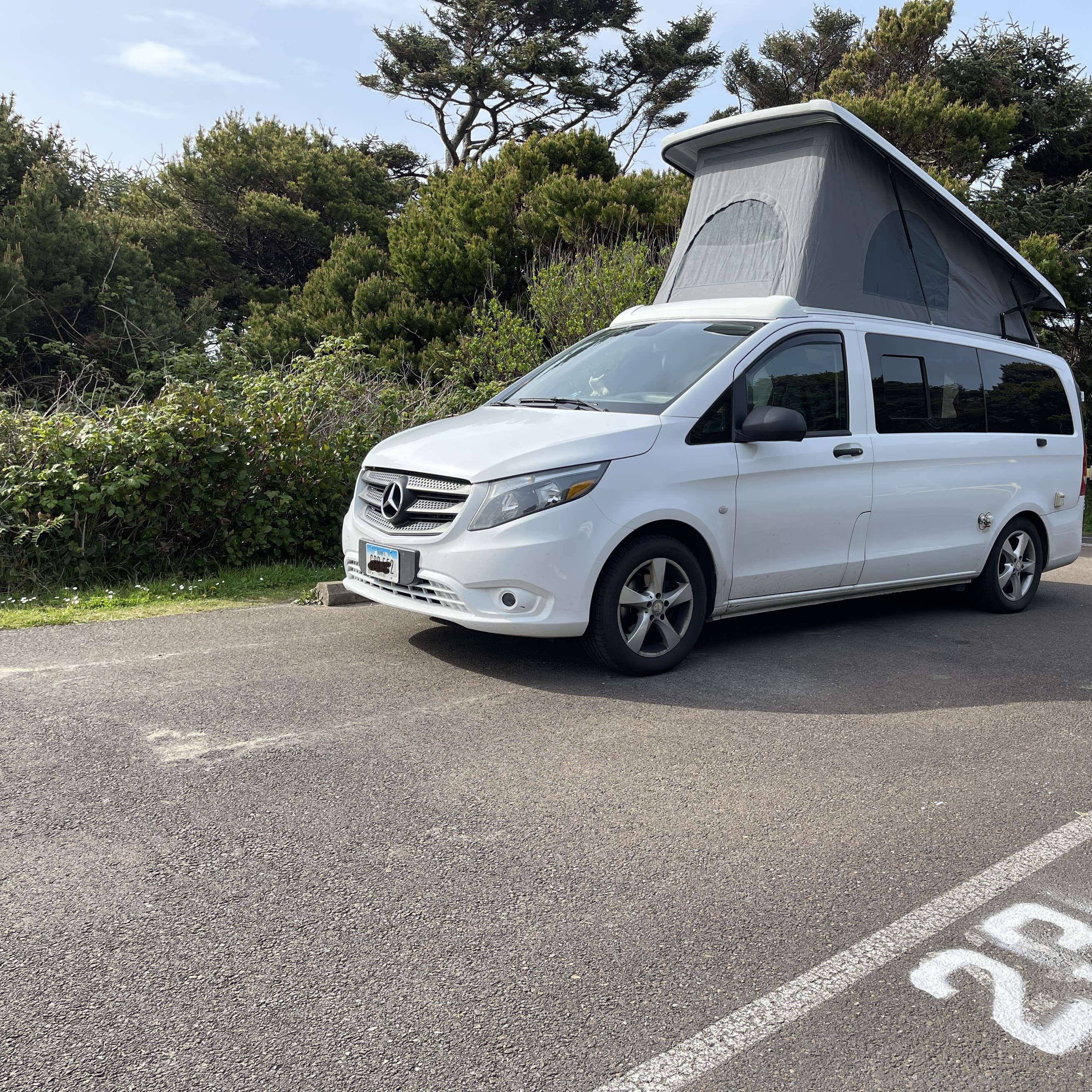 Tillicum Beach Campground | Waldport, OR