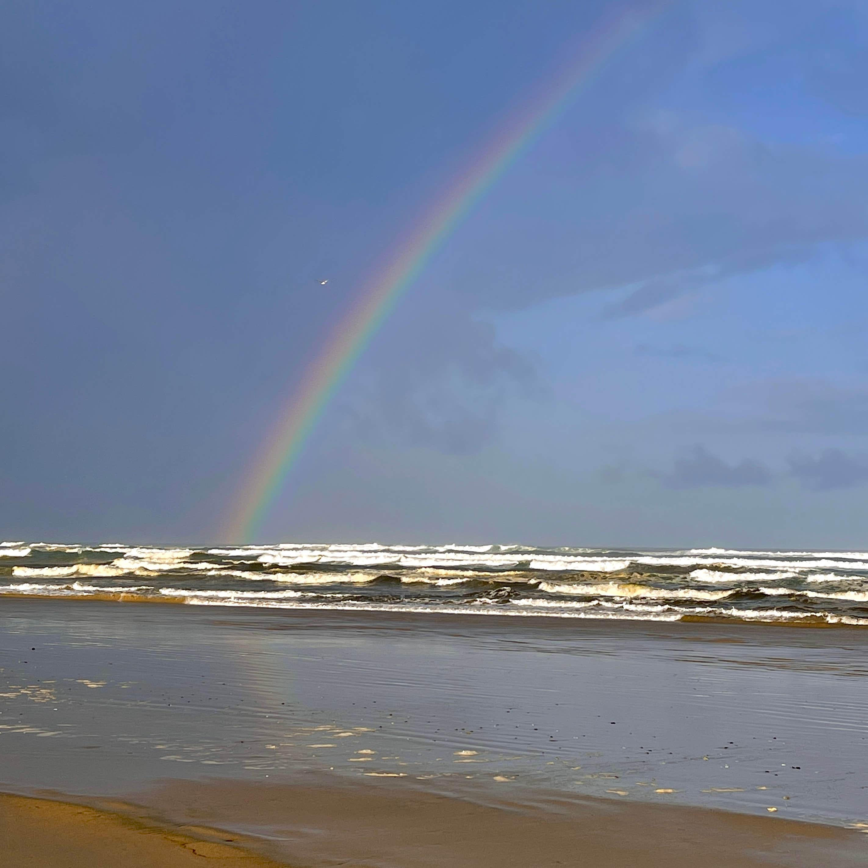 Tillicum Beach Campground | Waldport, OR