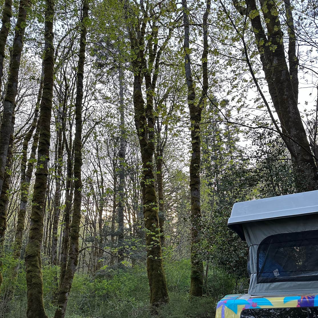 Dosewallips State Park Campground | Brinnon, WA