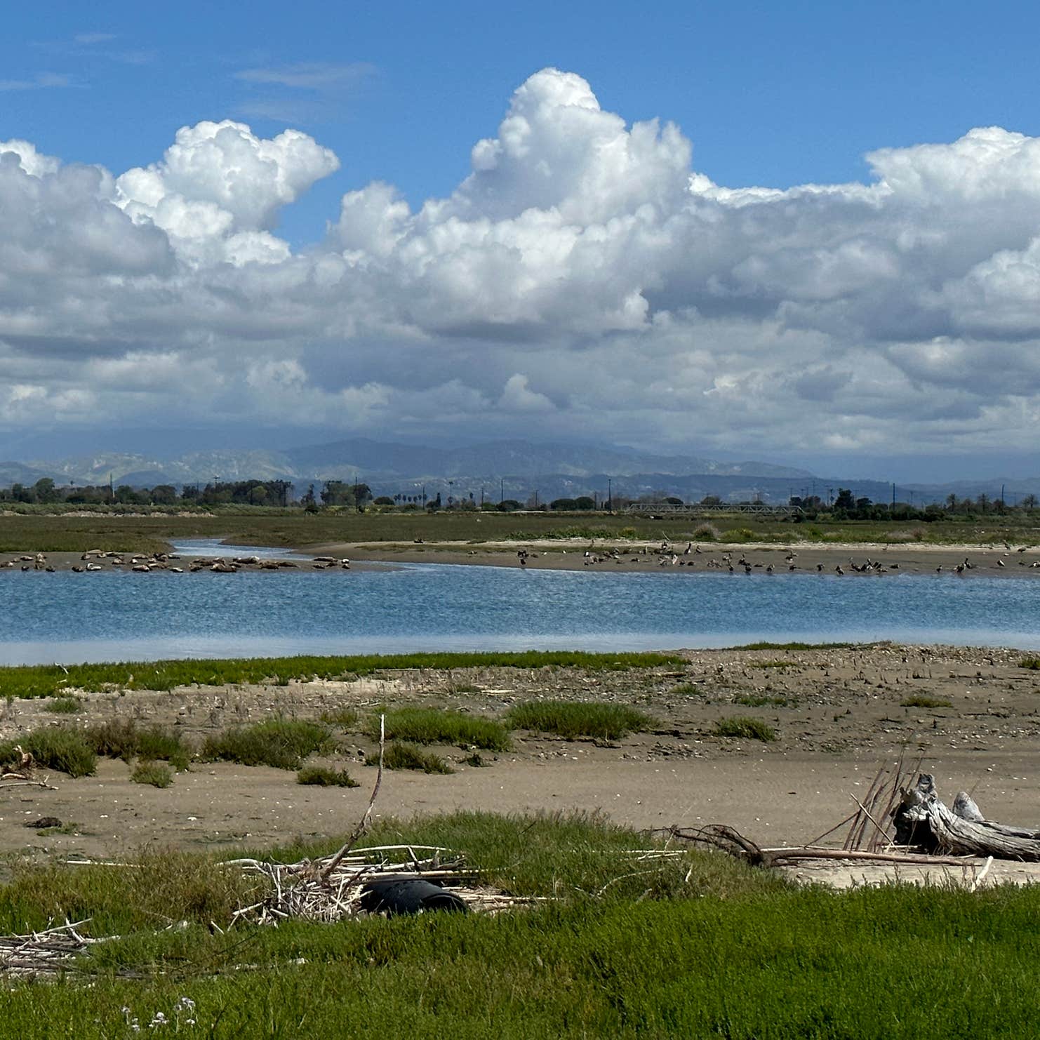 Point Mugu Recreation Facility Camping | Port Hueneme, California