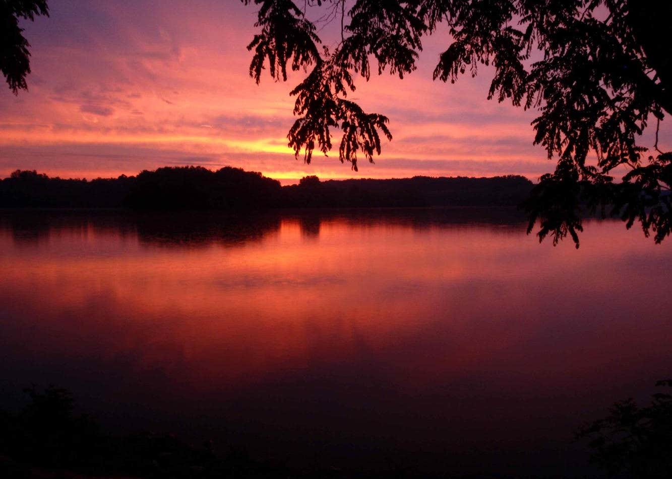 Findley State Park Camping | The Dyrt