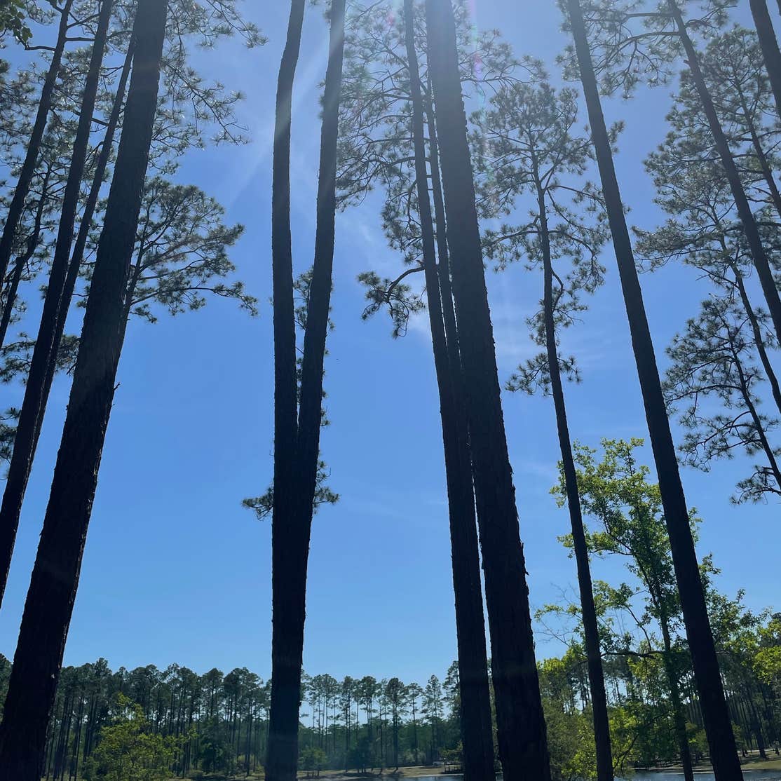 Sand Pond Campground - Pine Log State Forest | Ebro, FL